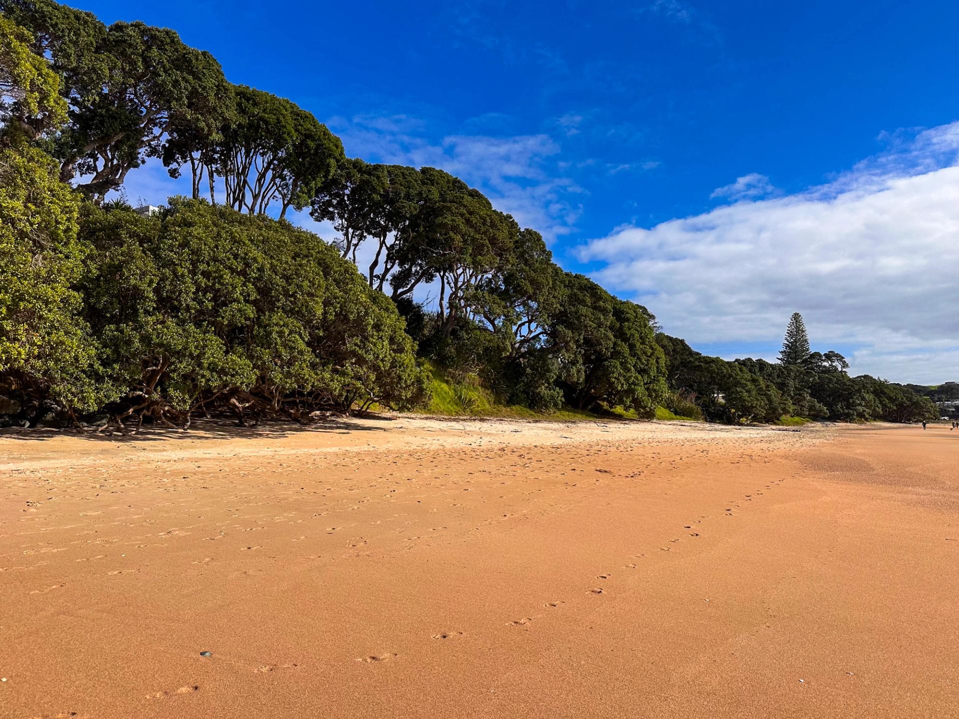 Langs Beach | Tutukaka Coast and Whangārei - New Zealand Trip Ideas