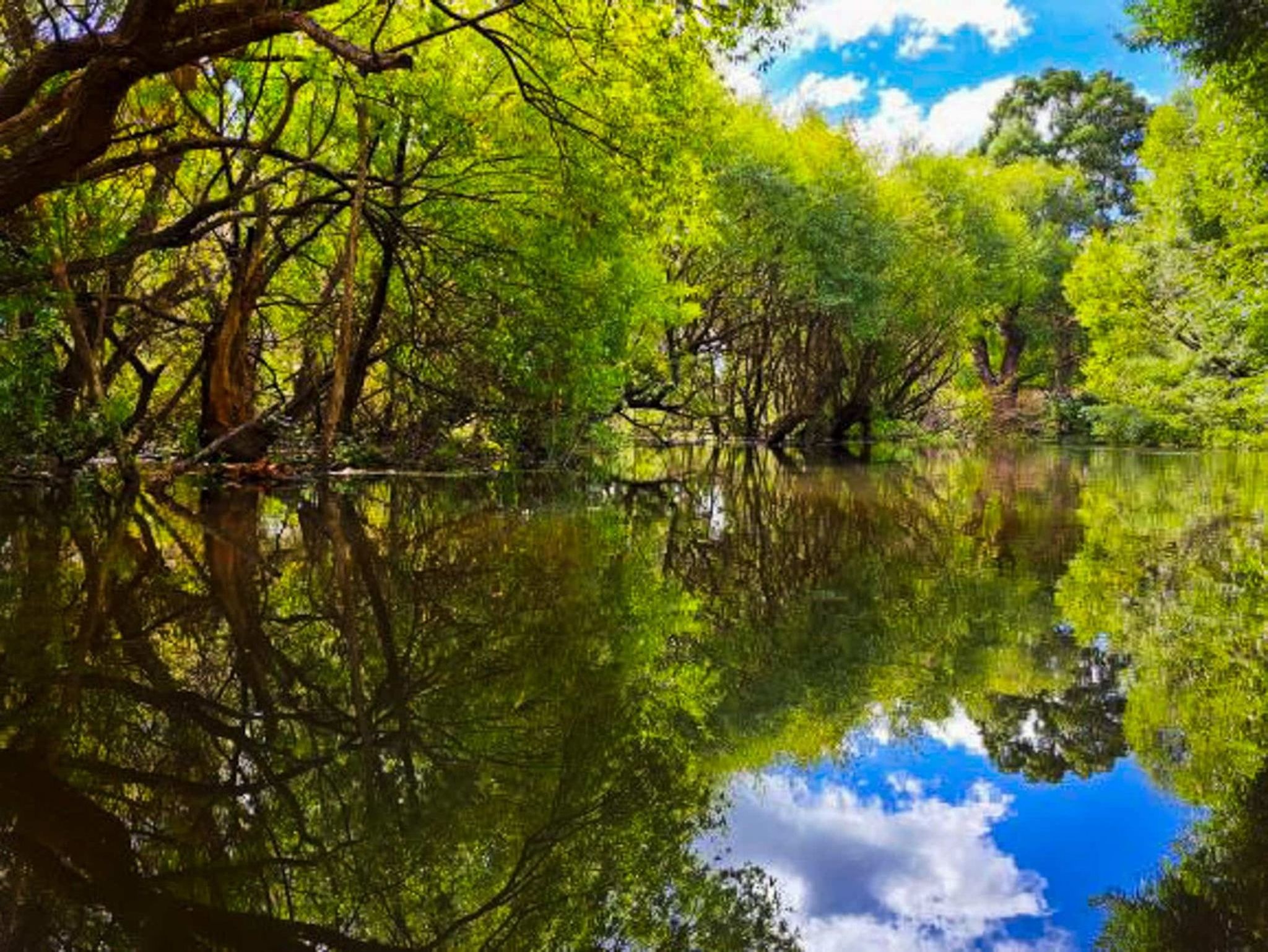 Pūharakekenui Styx River | North Canterbury - New Zealand Trip Ideas