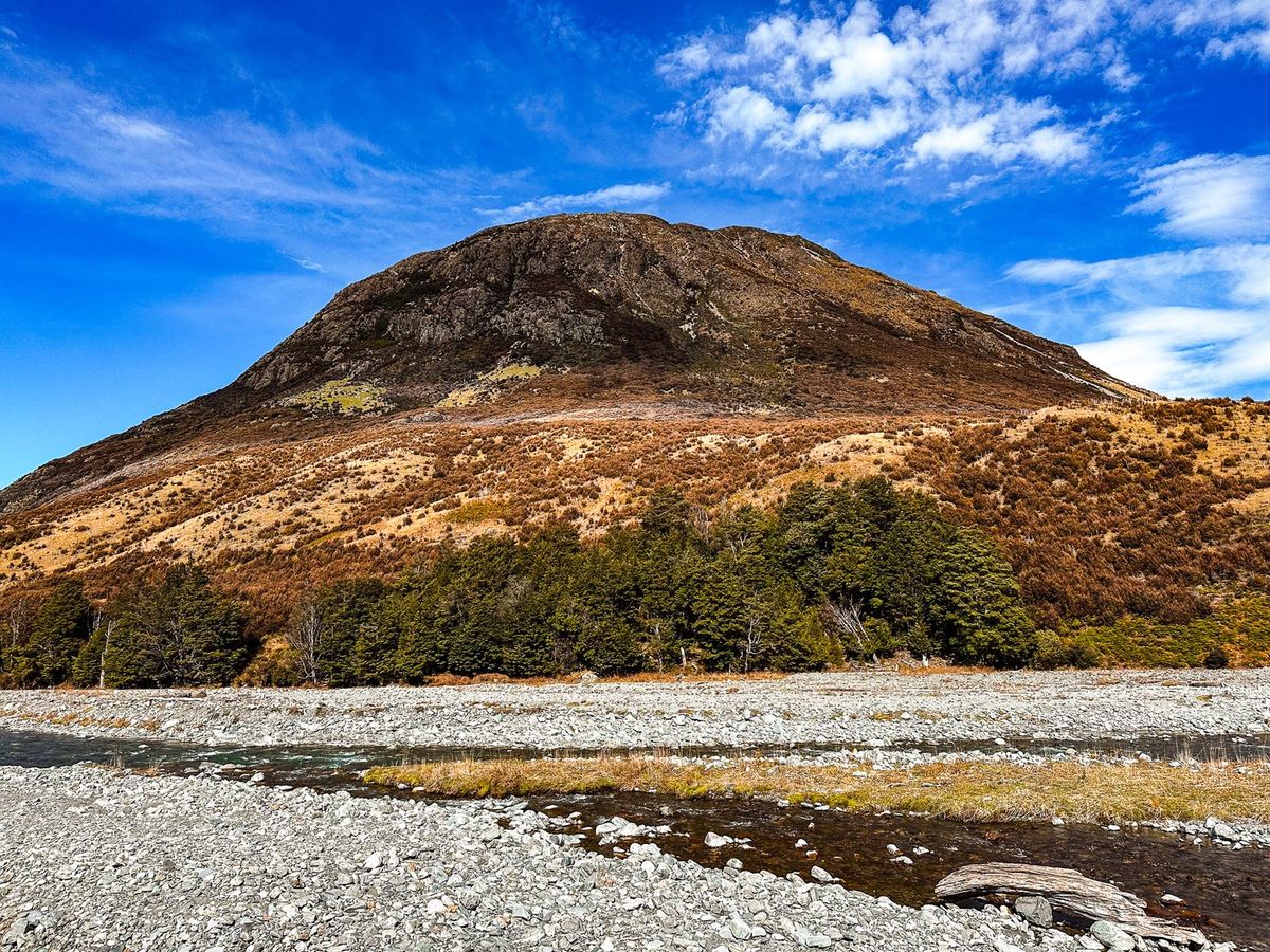 Temple Campsite and Tracks | Mackenzie Country - New Zealand Trip Ideas
