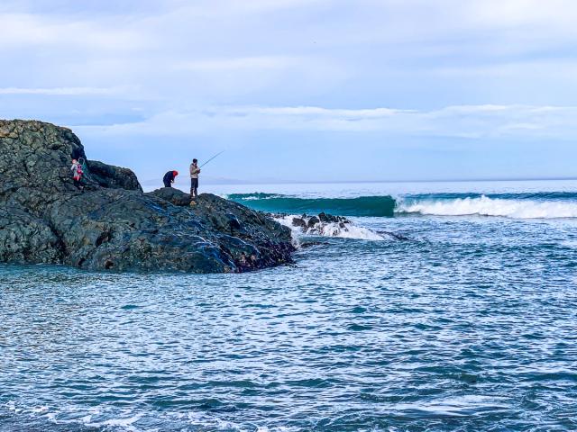 Riverton Aparima | Southland - New Zealand Trip Ideas