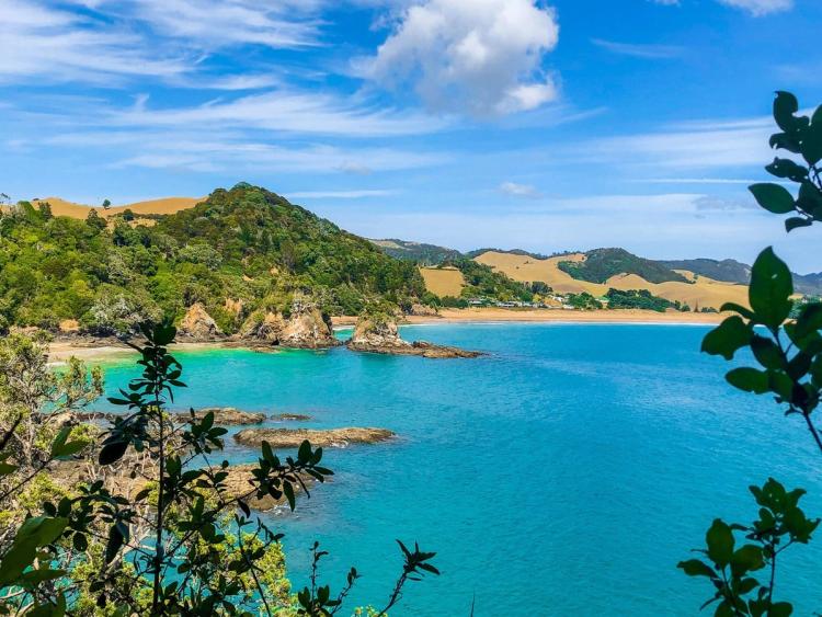 Whale Bay | Tutukaka Coast and Whangārei - New Zealand Trip Ideas