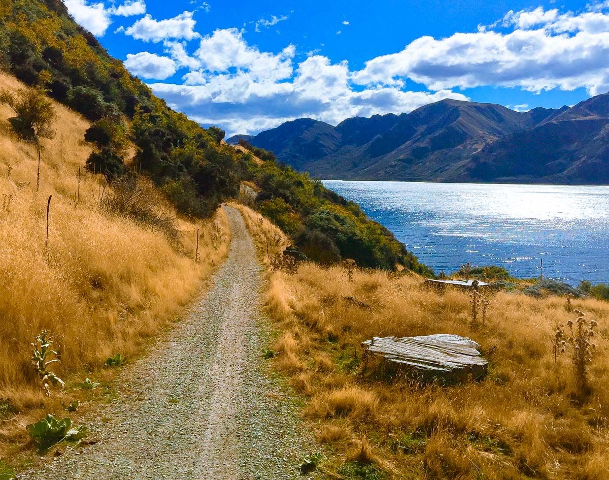 Glendhu Bay Track | Queenstown Lakes - New Zealand Trip Ideas