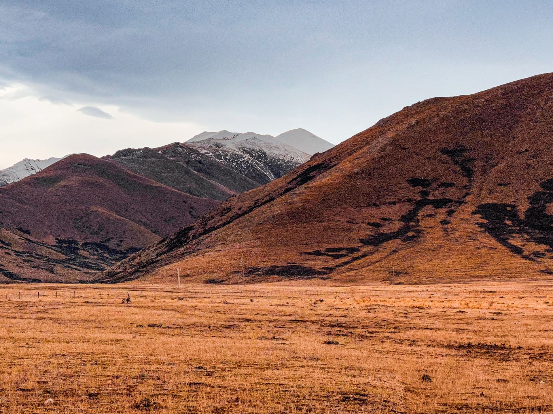 Mackenzie Basin | Mackenzie Country - New Zealand Trip Ideas
