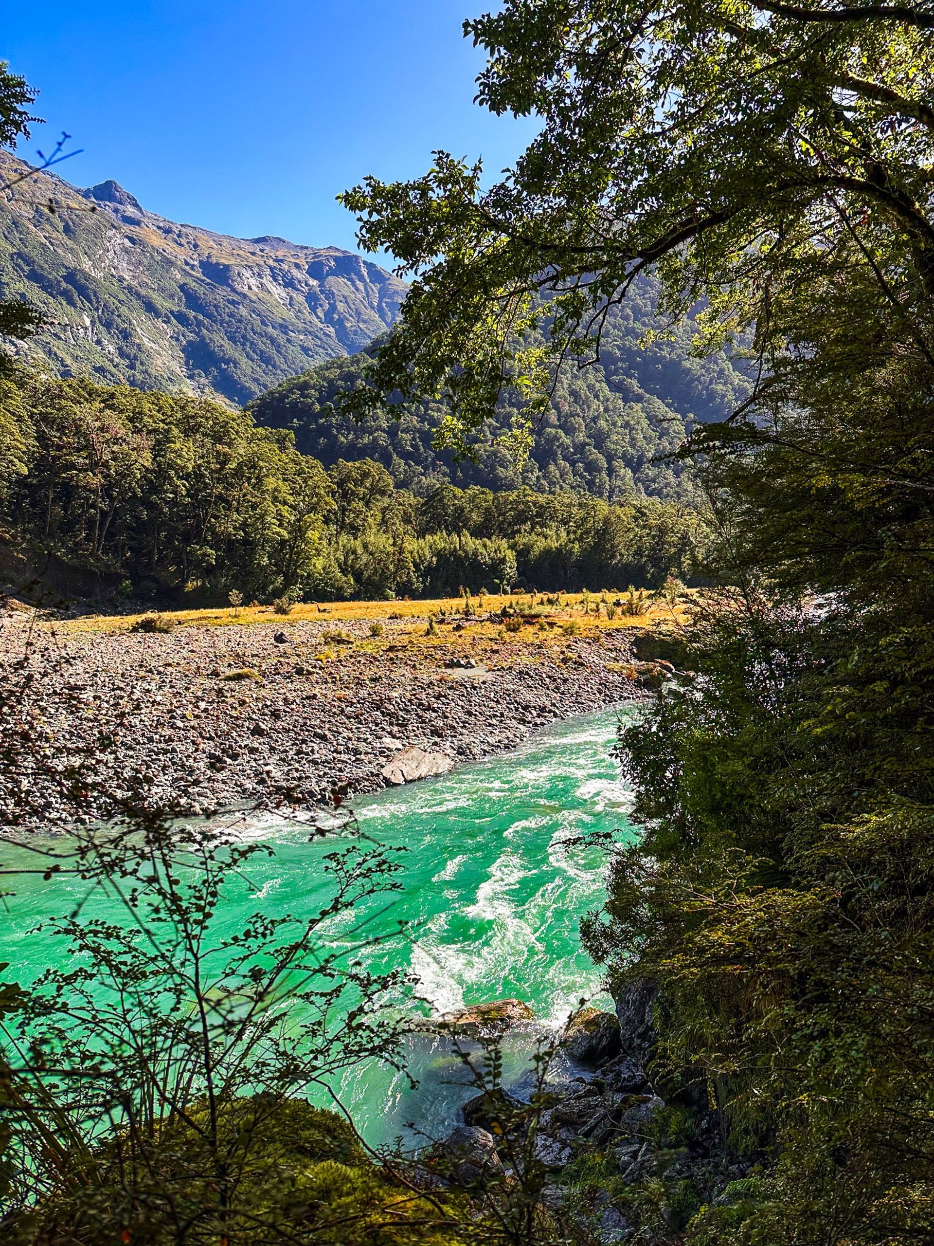 The Best of Beautiful Haast Pass - Trip Ideas