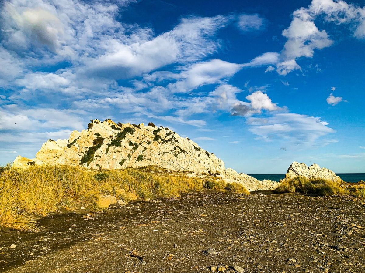 White Rock Beach | Wairarapa - New Zealand Trip Ideas