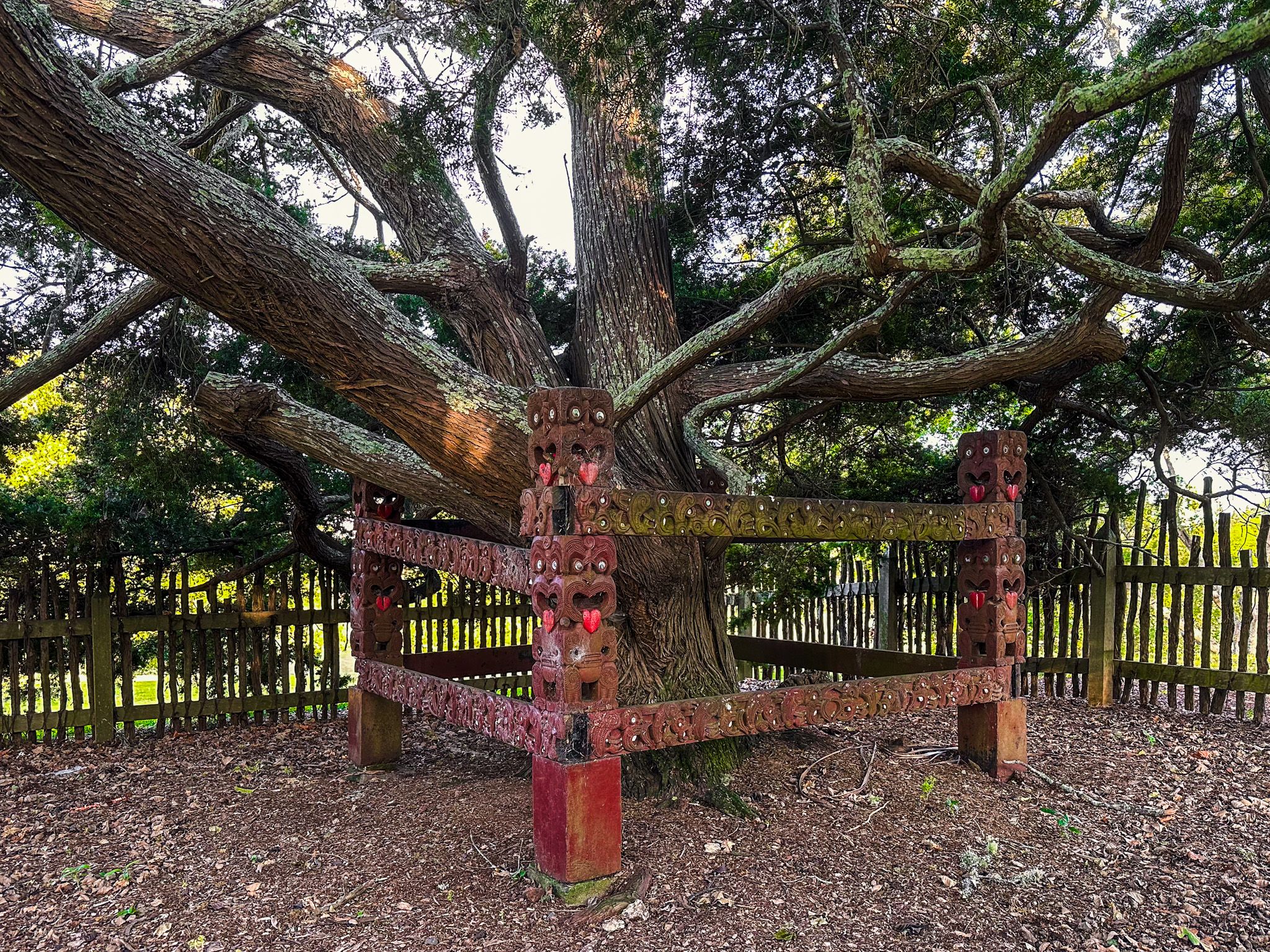 Auckland Domain Pukekawa | Central Auckland - New Zealand Trip Ideas