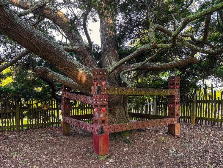 Auckland Domain Pukekawa | Central Auckland - New Zealand Trip Ideas
