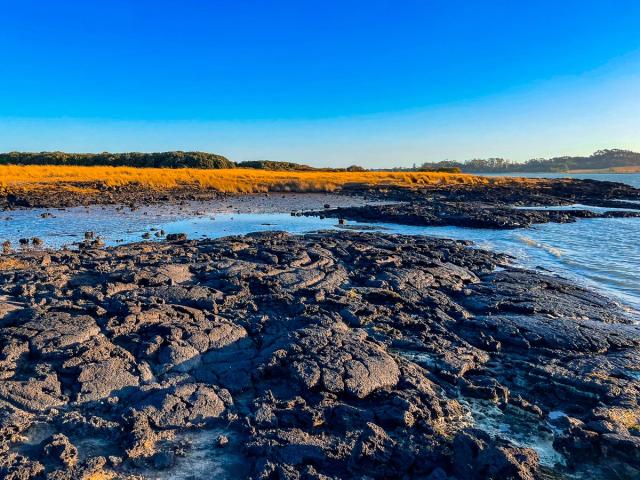 Ambury Regional Park - New Zealand Trip Ideas