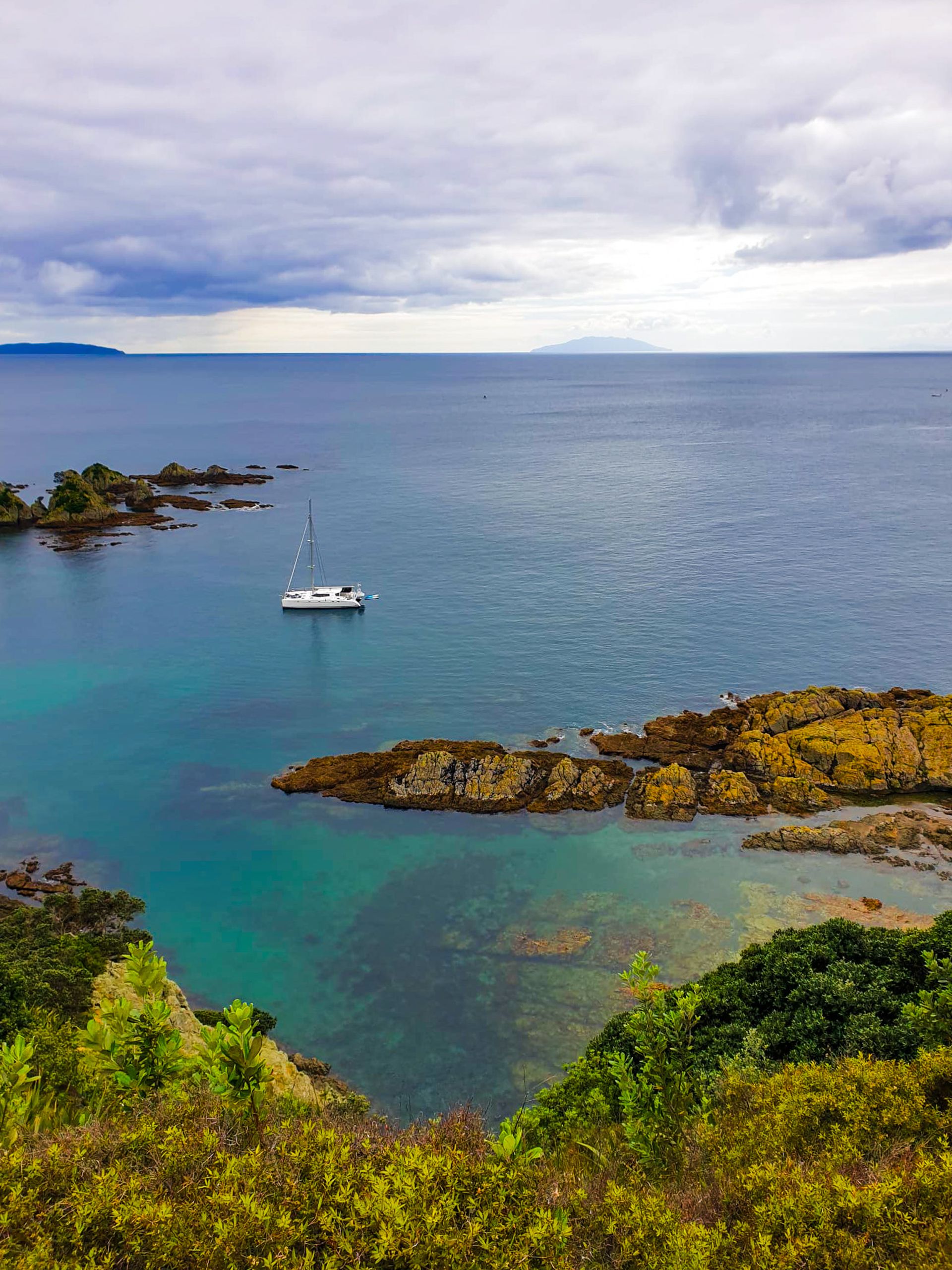 Tiritiri Matangi Island | Hauraki Gulf Islands - New Zealand Trip Ideas