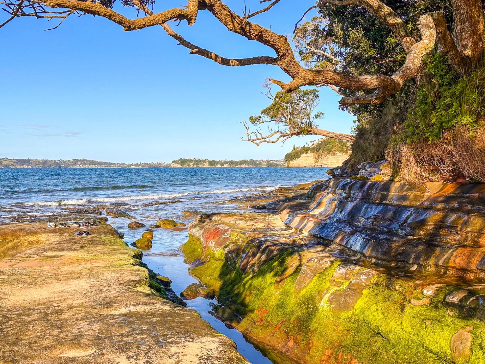 Red Beach | North Auckland - New Zealand Trip Ideas