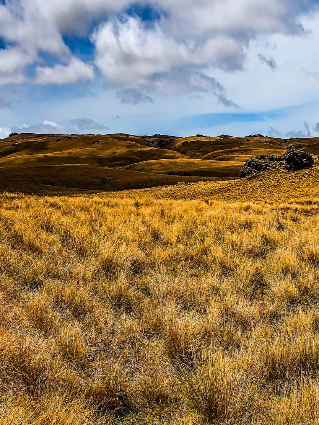 Old Dunstan Road: Remote Drives in Beautiful Central Otago - Trip Ideas