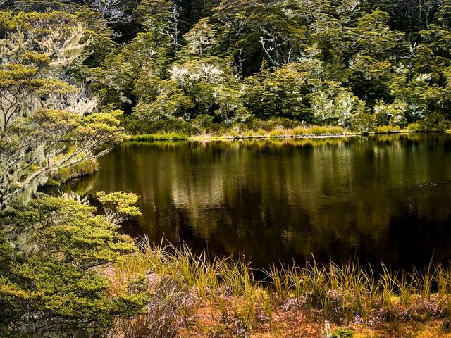 Lewis Pass | West Coast North - New Zealand Trip Ideas