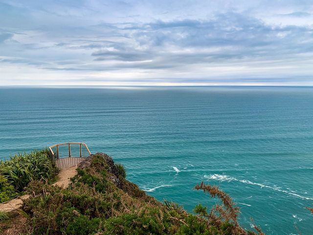 Mercer Bay Loop | West Auckland - New Zealand Trip Ideas