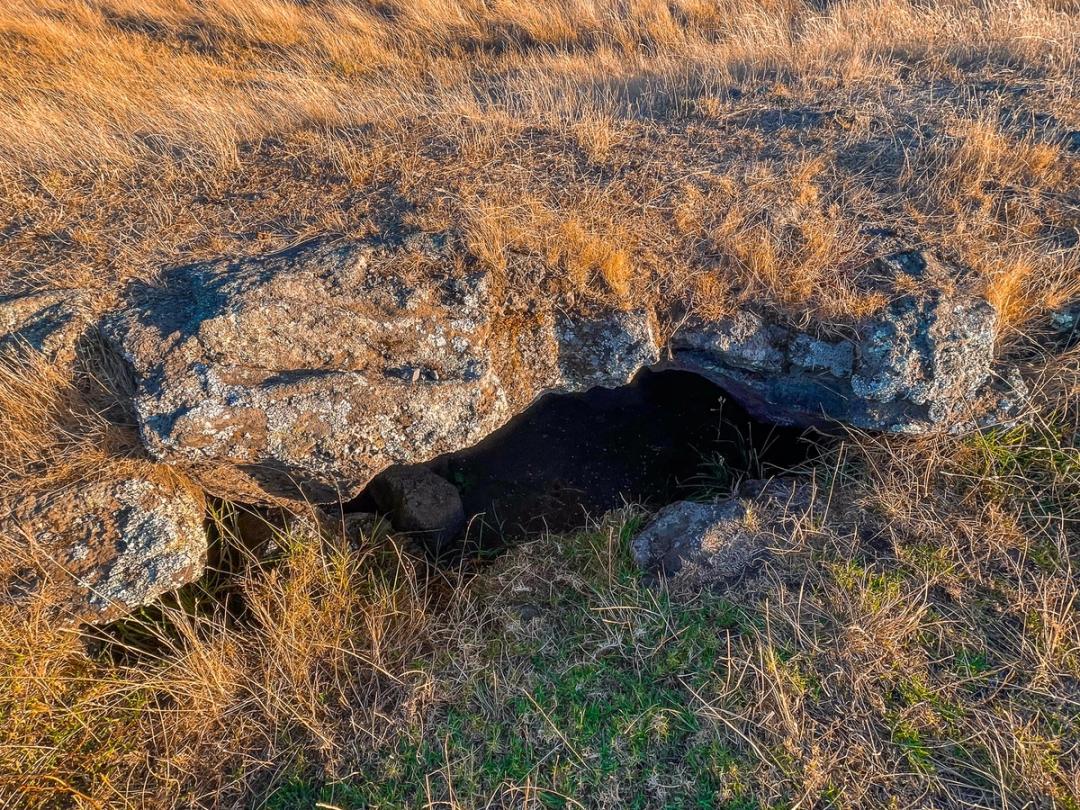Ambury Regional Park - New Zealand Trip Ideas
