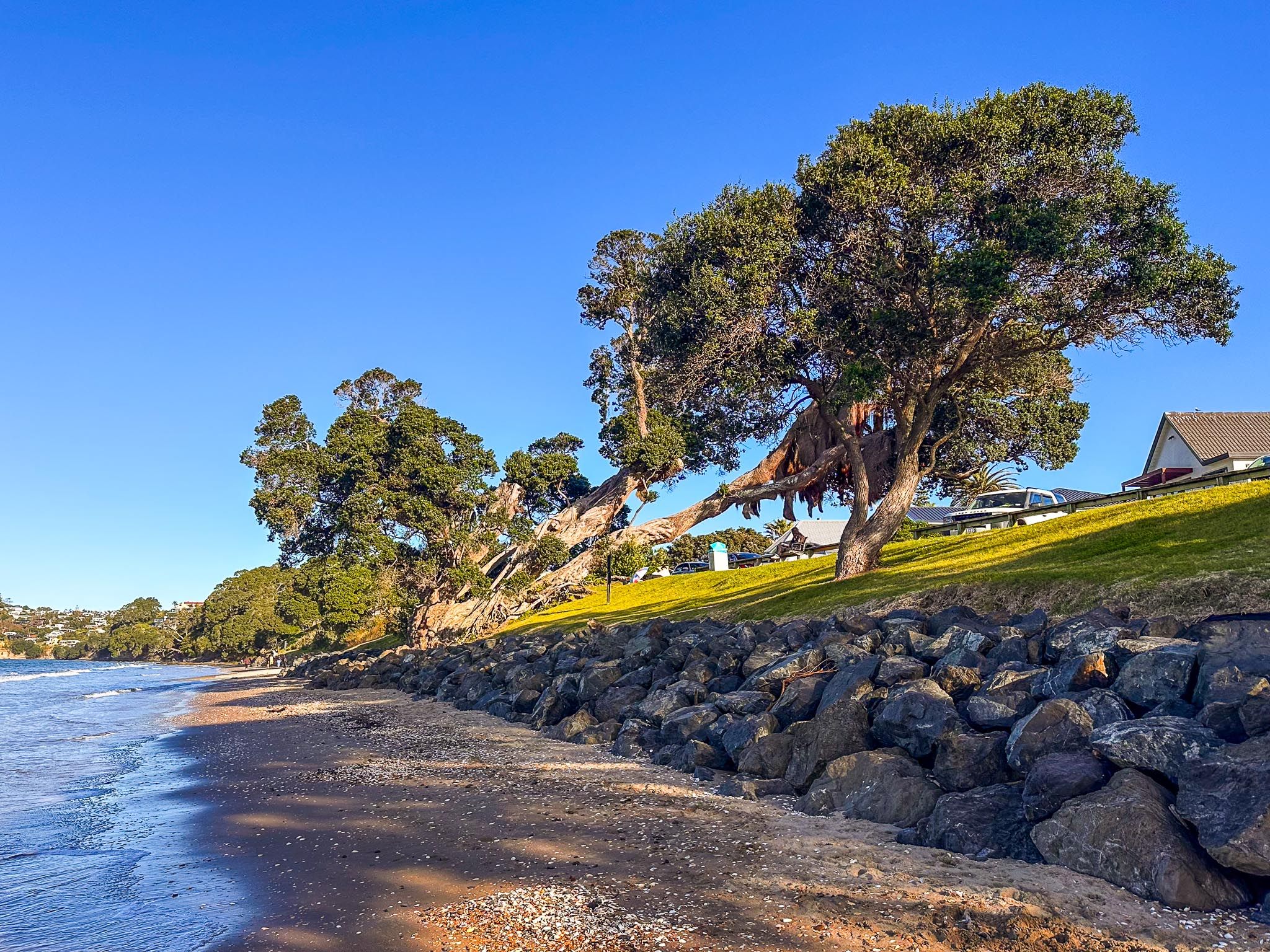 Red Beach | North Auckland - New Zealand Trip Ideas