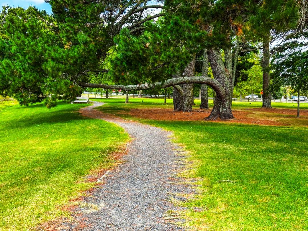 Whitford | East Auckland - New Zealand Trip Ideas