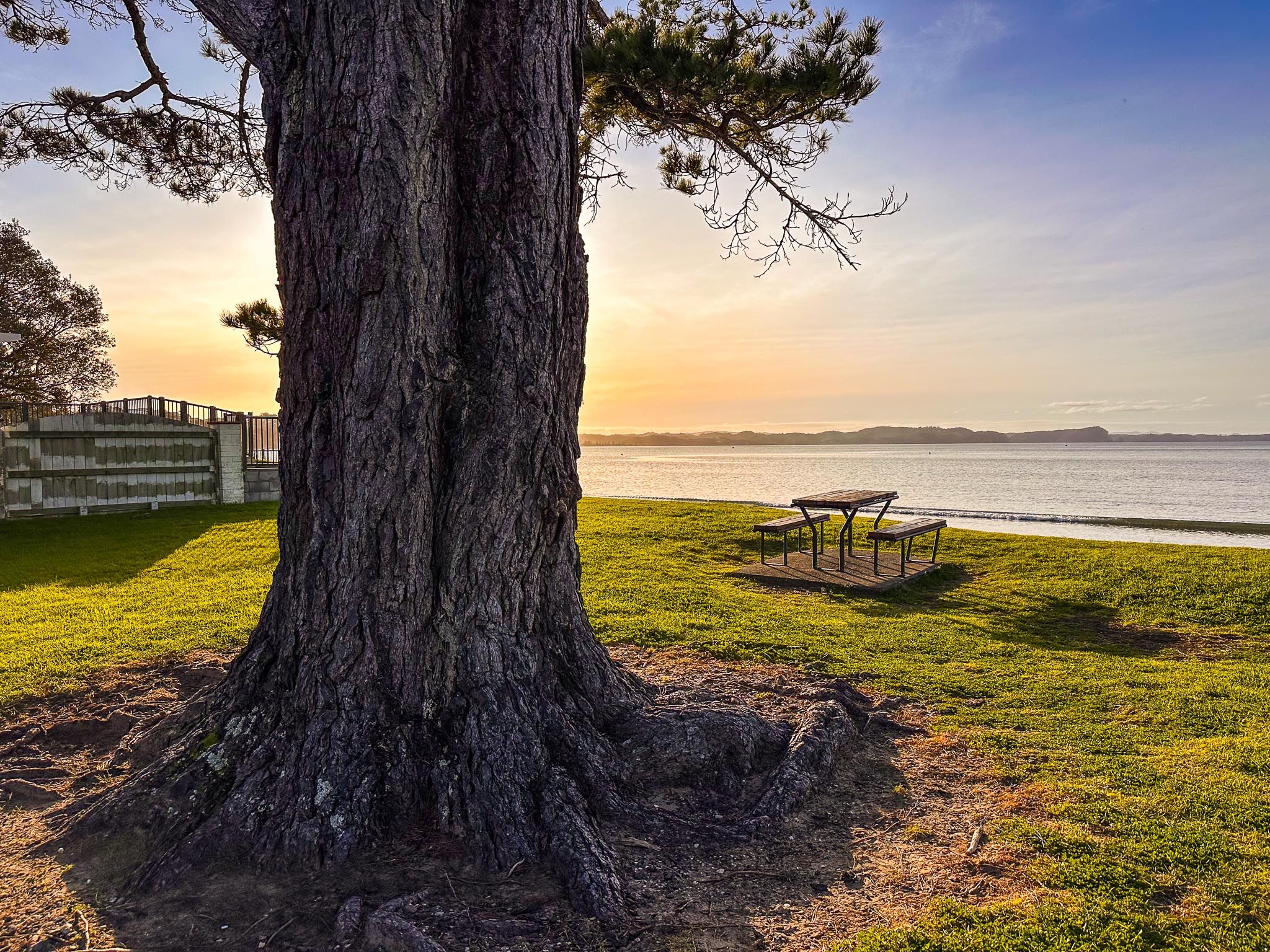 Stanmore Bay | North Auckland - New Zealand Trip Ideas