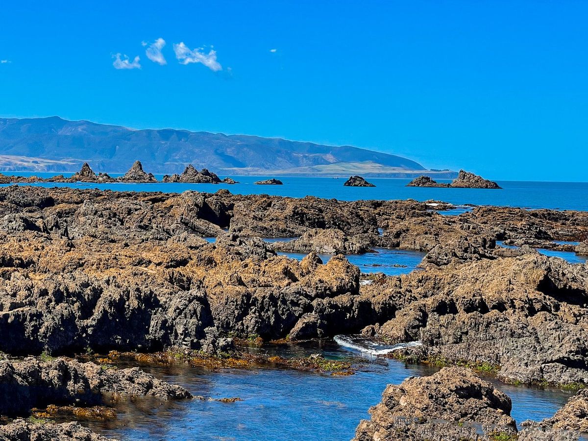 The Sirens Rocks | Wellington City - New Zealand Trip Ideas