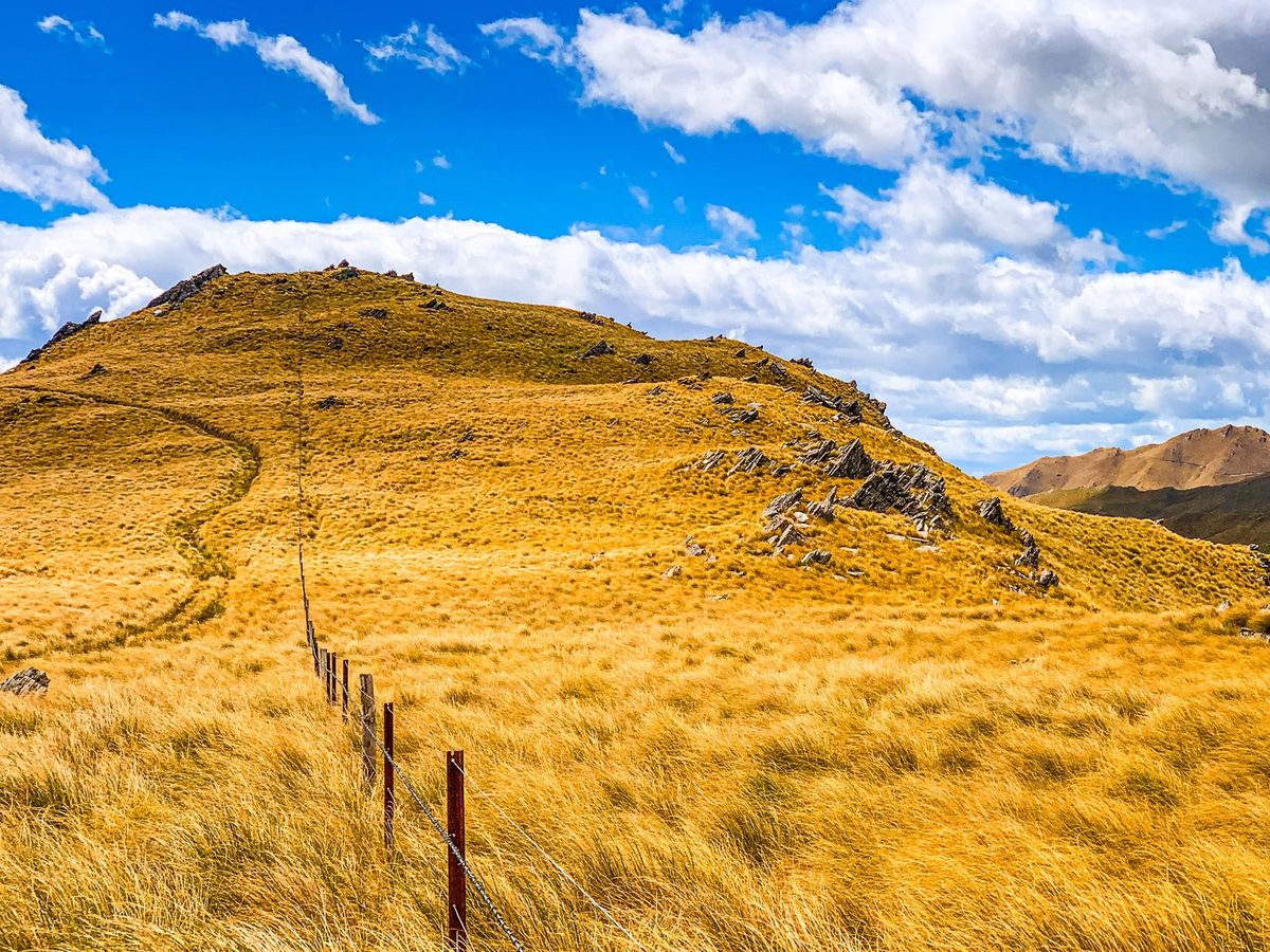 Danseys Pass Road - Trip Ideas