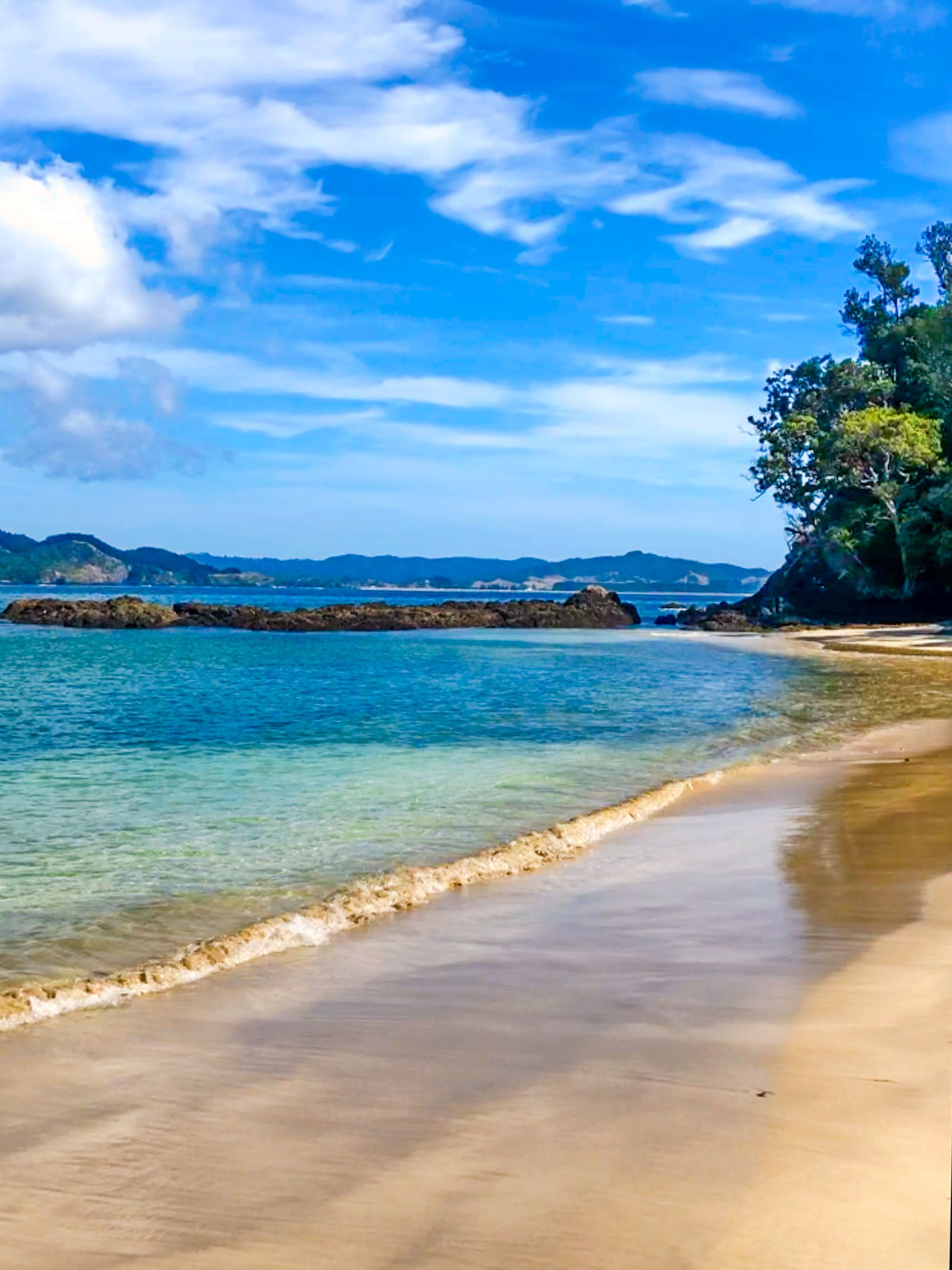 Whale Bay | Tutukaka Coast and Whangārei - New Zealand Trip Ideas
