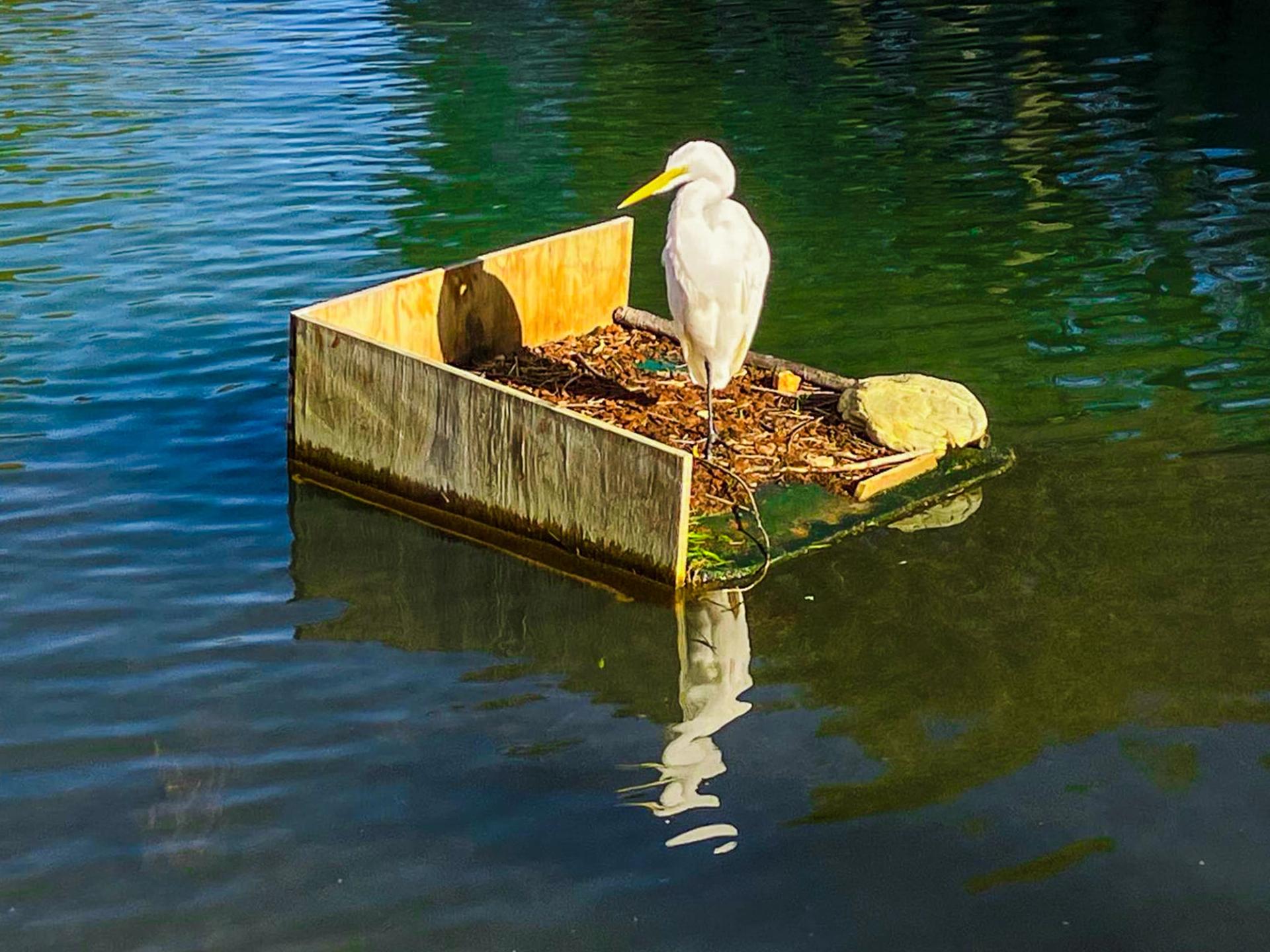 Top of Lake Wakatipu | Queenstown Lakes - New Zealand Trip Ideas