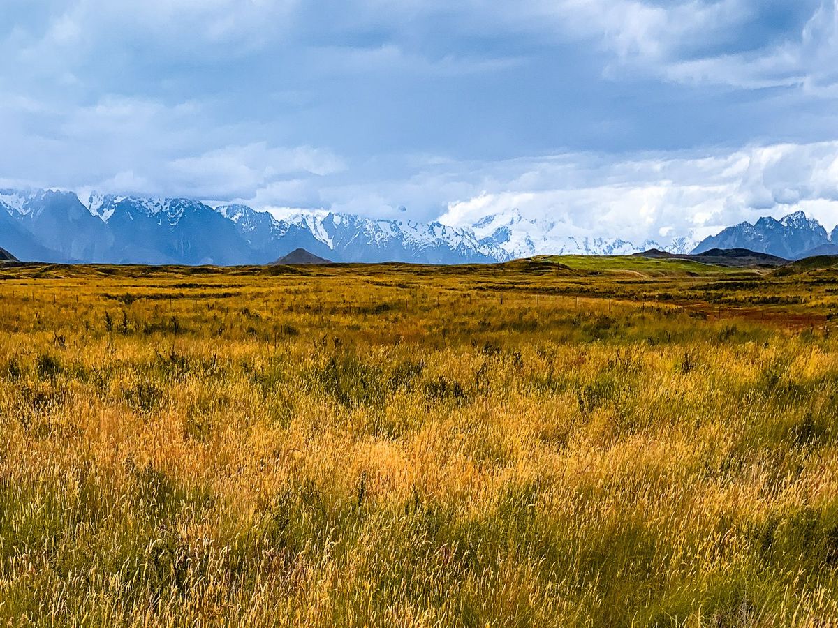 Mackenzie Basin | Mackenzie Country - New Zealand Trip Ideas