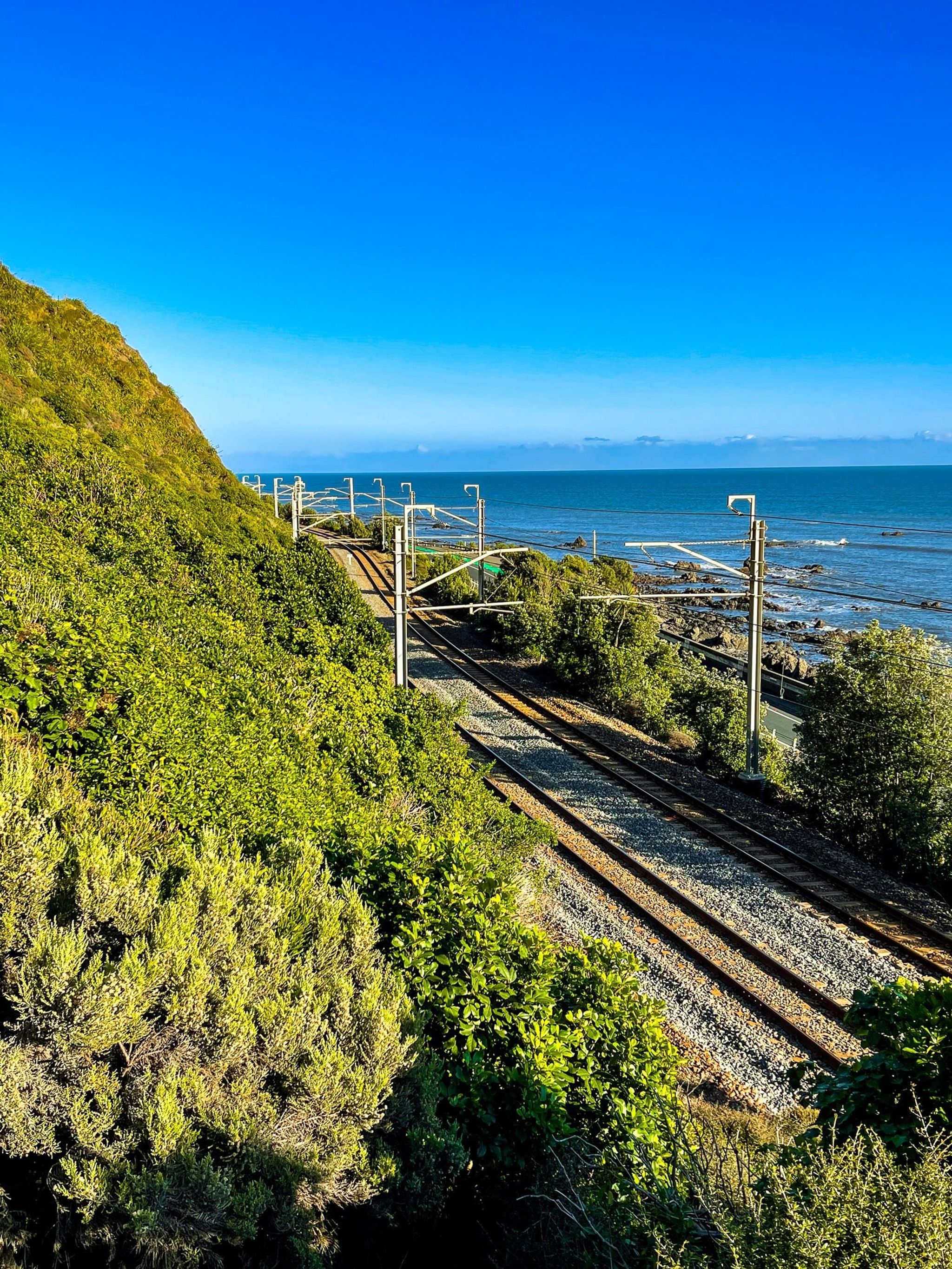 Paekākāriki Escarpment Track | Kāpiti Coast - New Zealand Trip Ideas