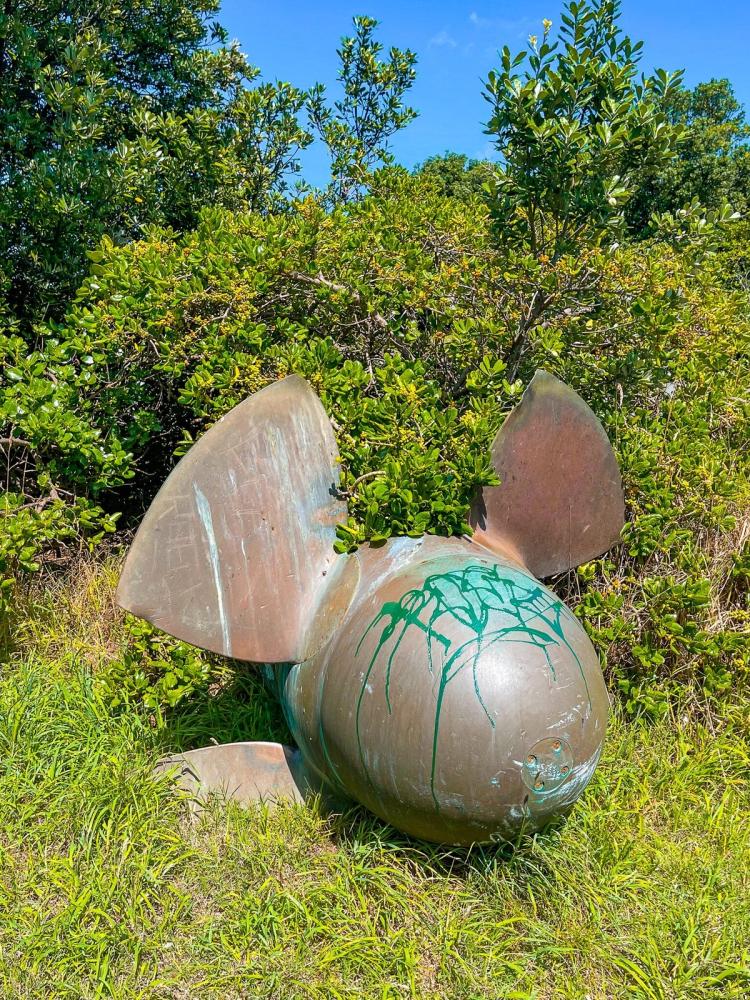 Touring Miramar Peninsula on a Beautiful Day - Trip Ideas