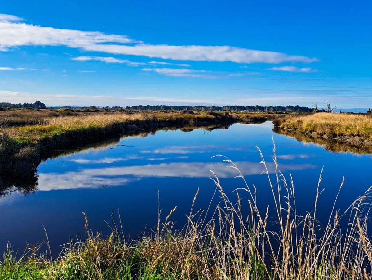Pūharakekenui Styx River | North Canterbury - New Zealand Trip Ideas