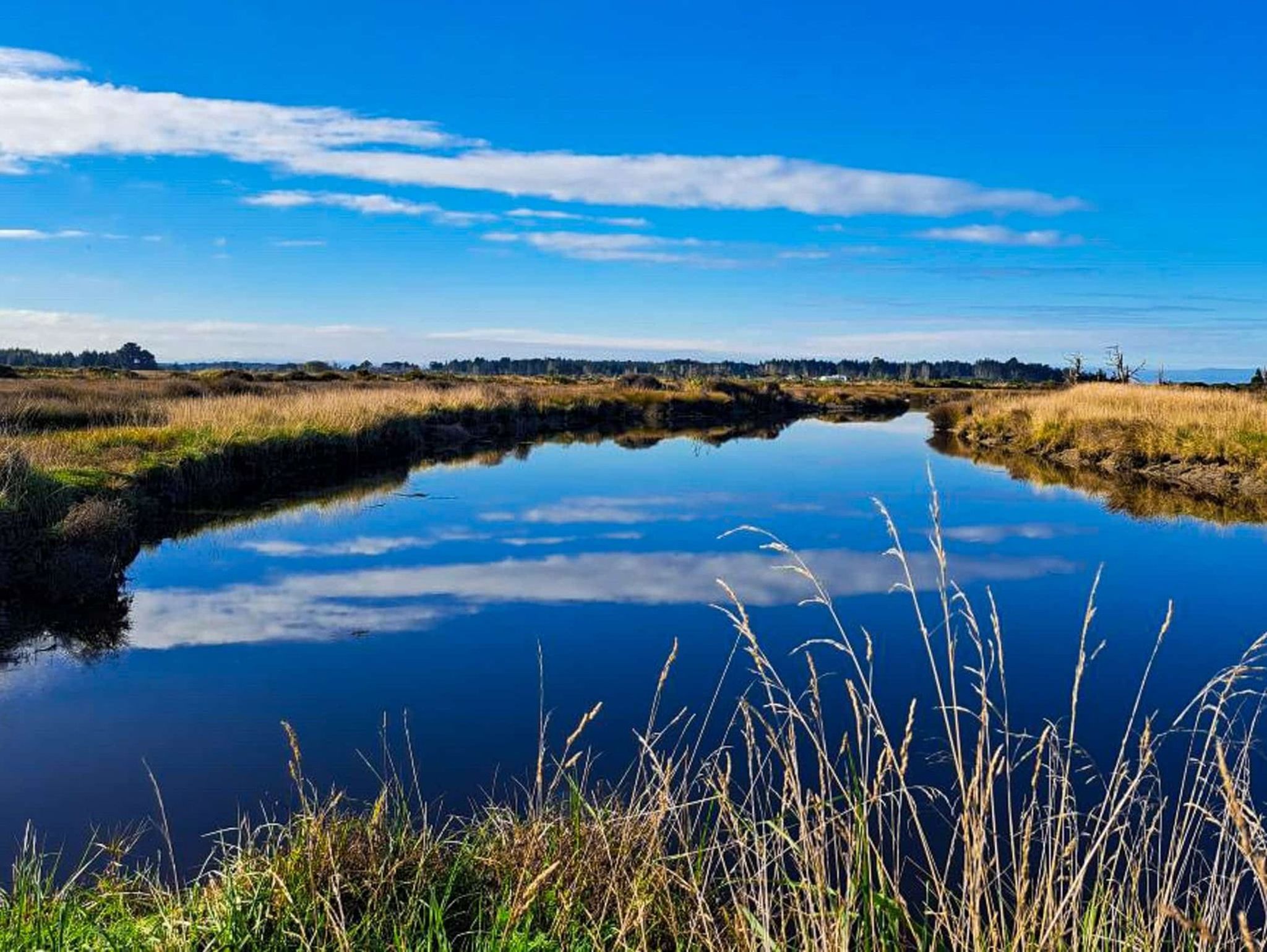 Pūharakekenui Styx River | North Canterbury - New Zealand Trip Ideas
