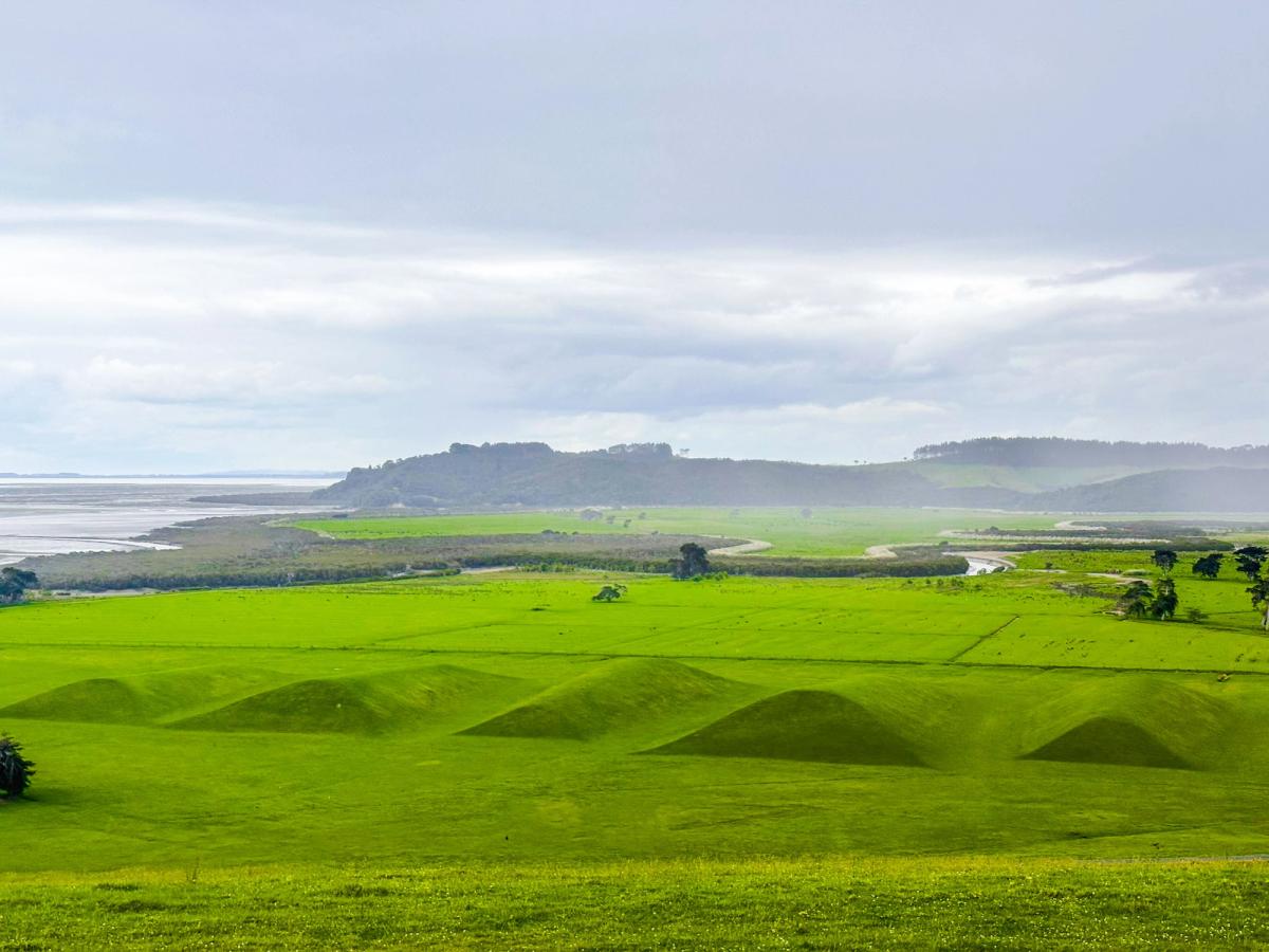 Gibbs Farm | North Auckland - New Zealand Trip Ideas