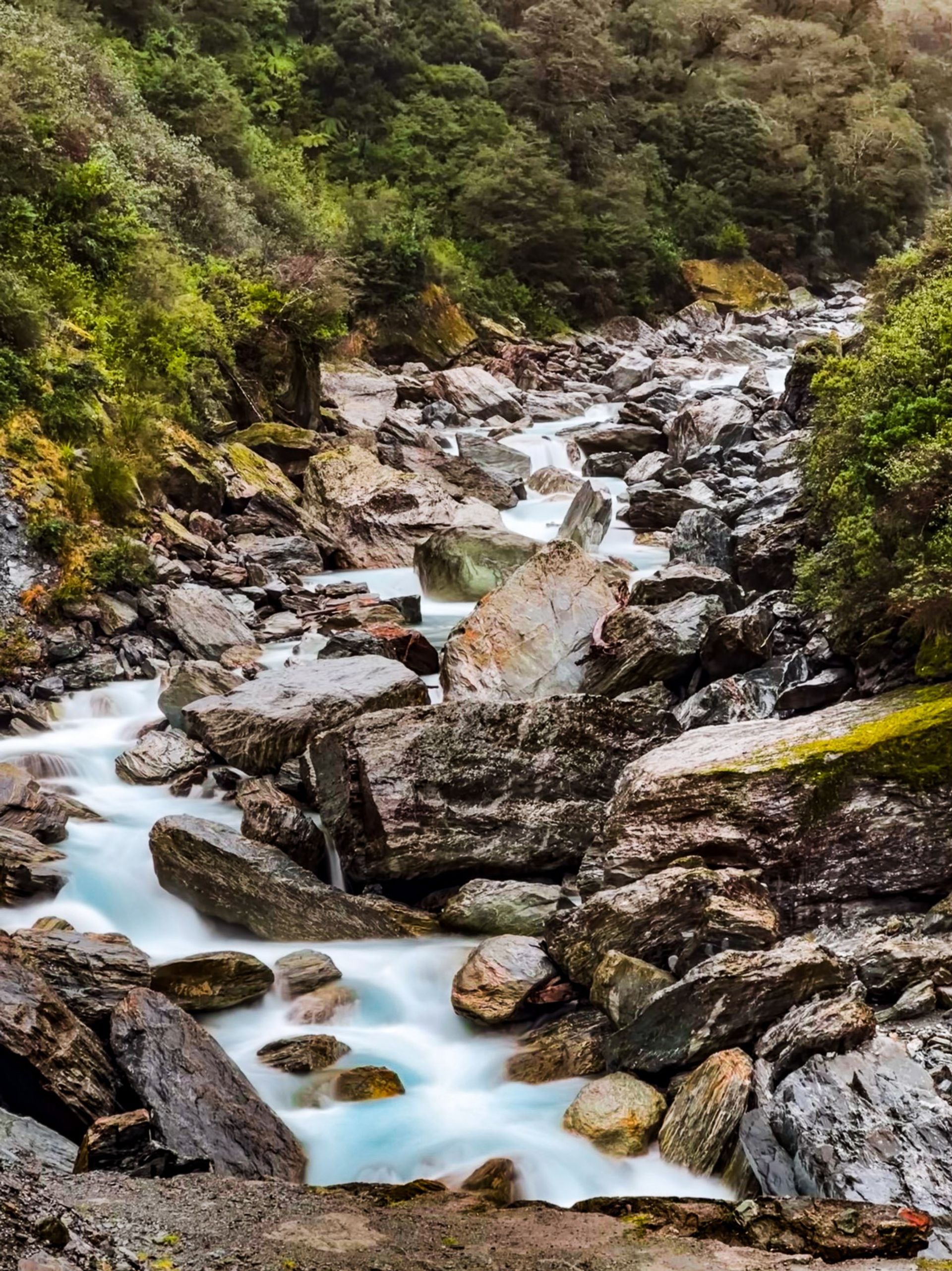 The Best of Beautiful Haast Pass - Trip Ideas