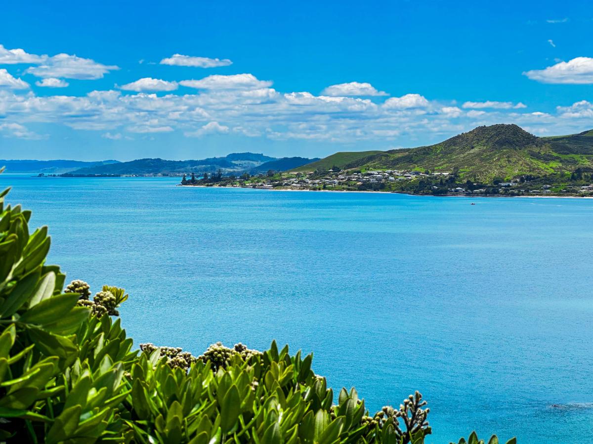 Hokianga Harbour | Hokianga - New Zealand Trip Ideas