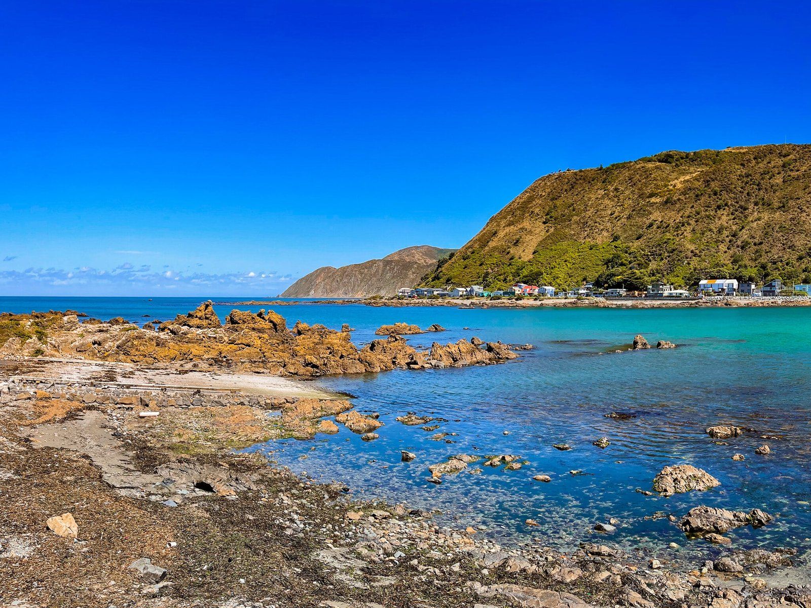 The Surprising Wellington South Coast | Blog - New Zealand Trip Ideas
