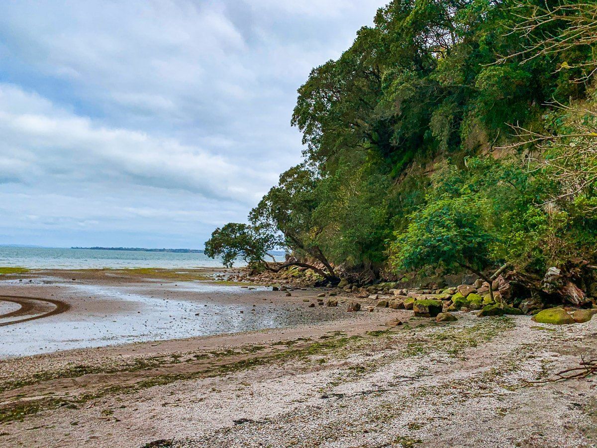 Waitakere Walking Tracks, part 1 - Trip Ideas