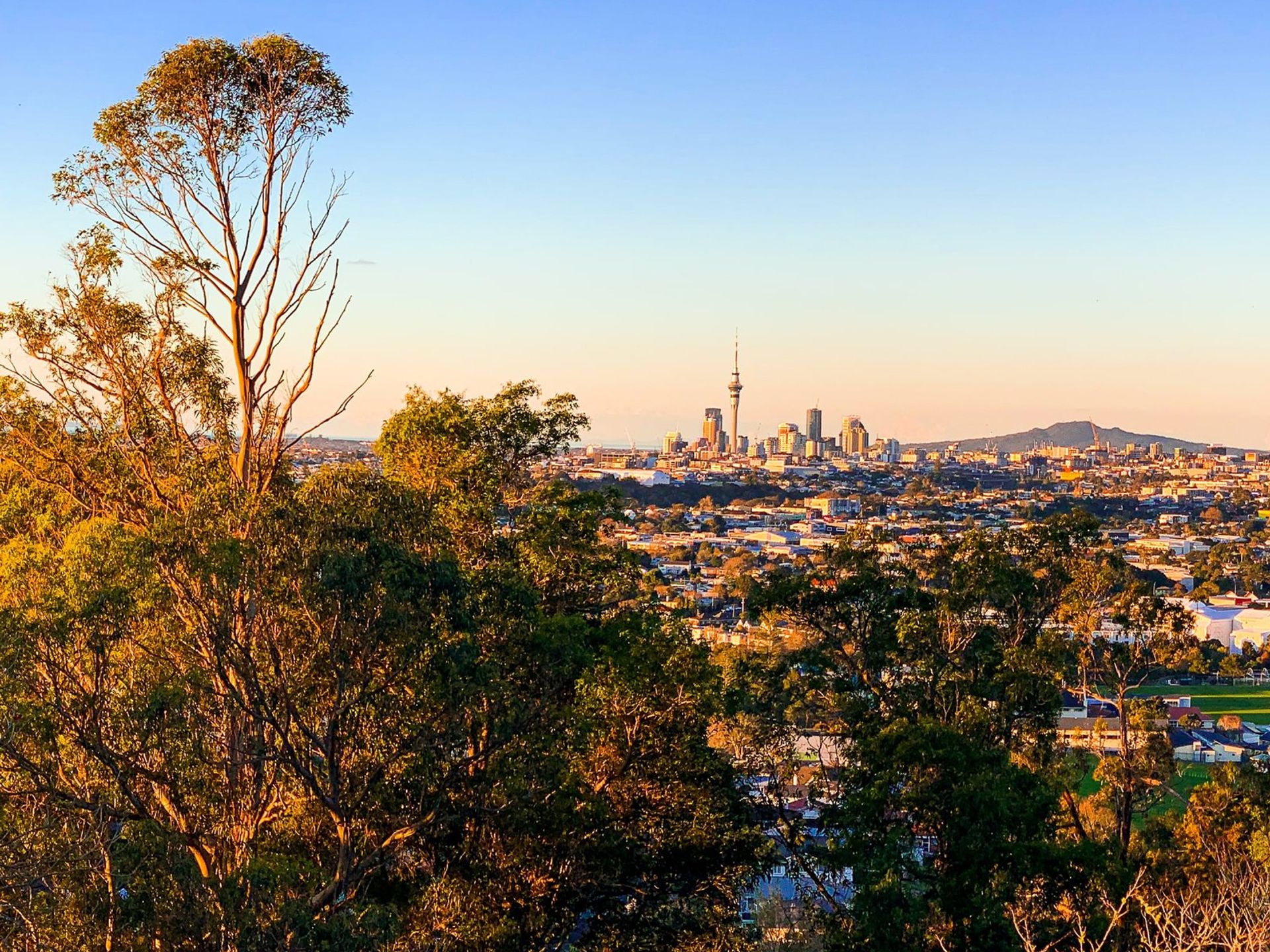 Mount Albert Ōwairaka | Central Auckland - New Zealand Trip Ideas