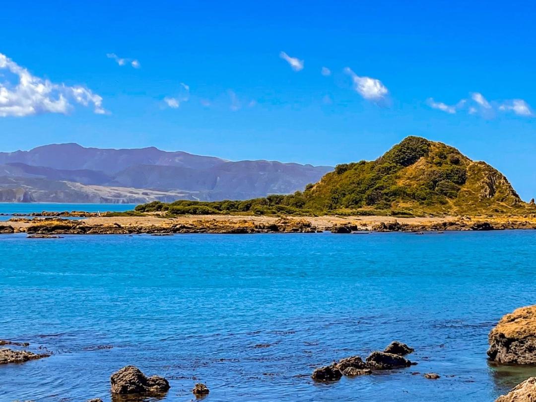 Island Bay | Wellington City - New Zealand Trip Ideas