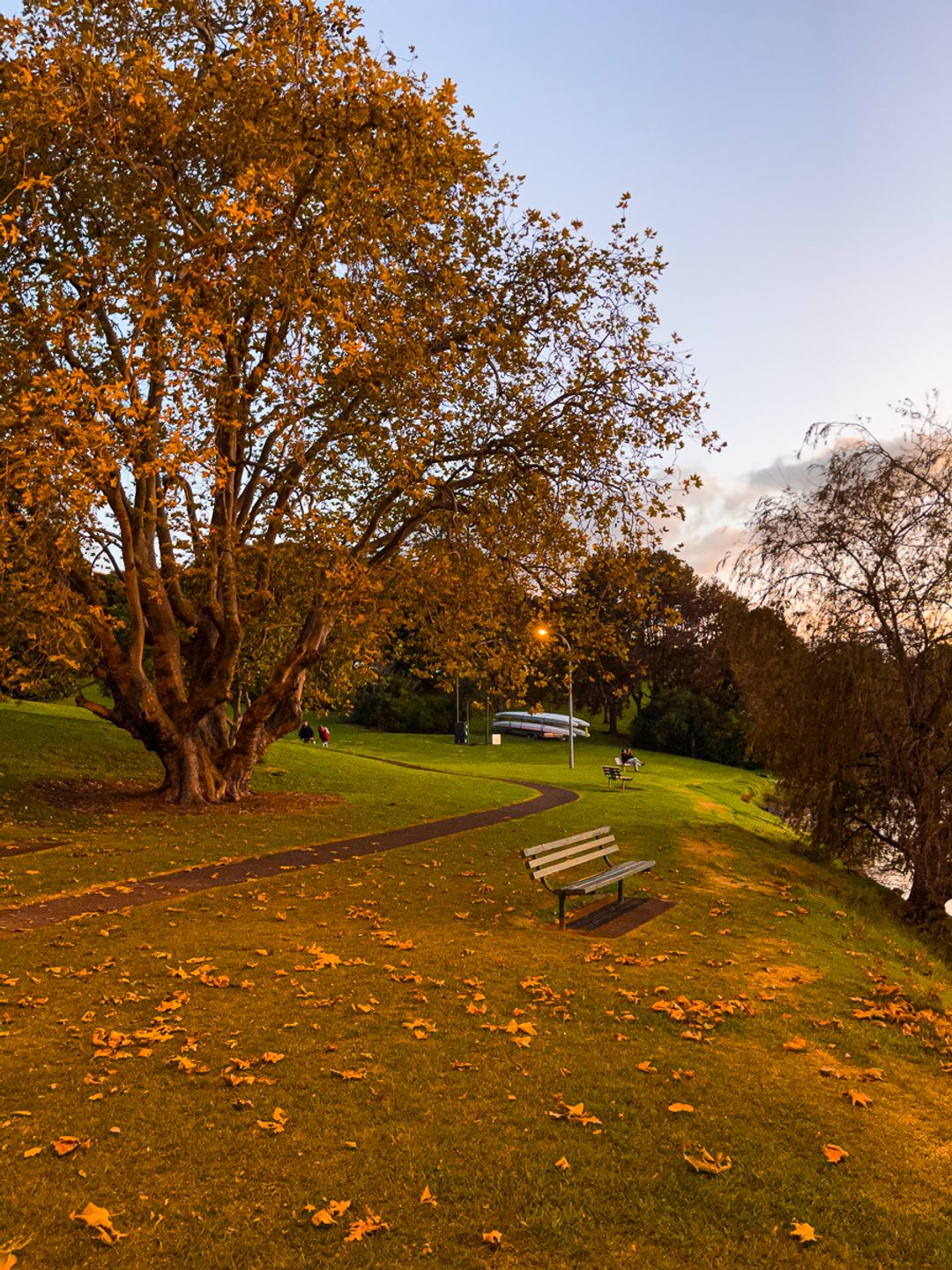 Lake Pupuke | North Auckland - New Zealand Trip Ideas