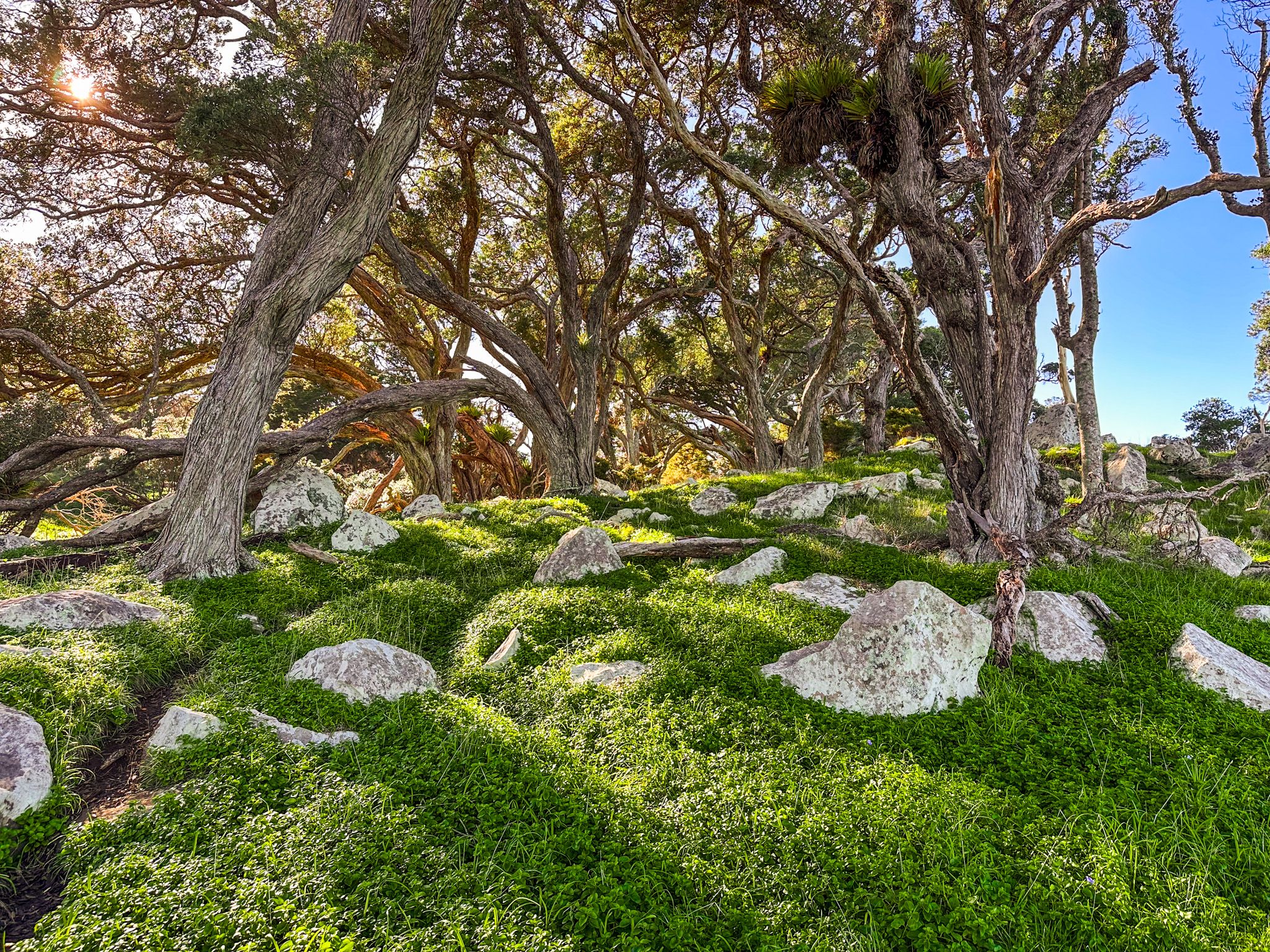 Ti Point | North Auckland - New Zealand Trip Ideas