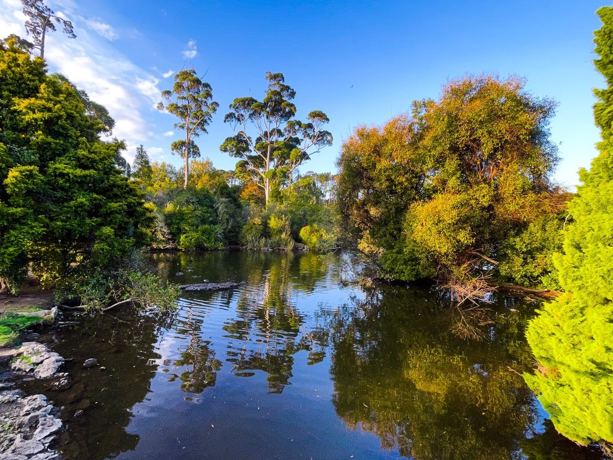 Western Springs | Central Auckland - New Zealand Trip Ideas