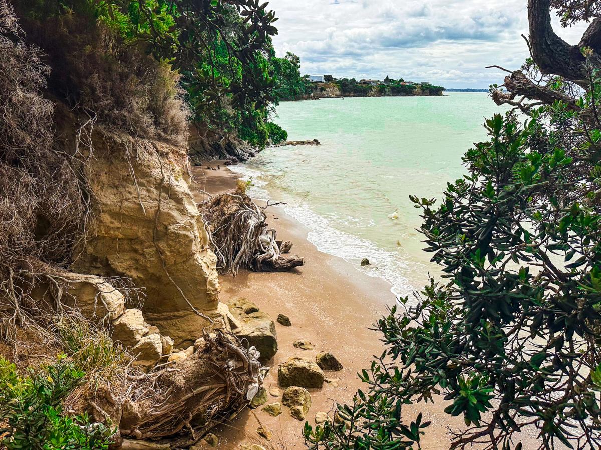 Beachlands | East Auckland - New Zealand Trip Ideas