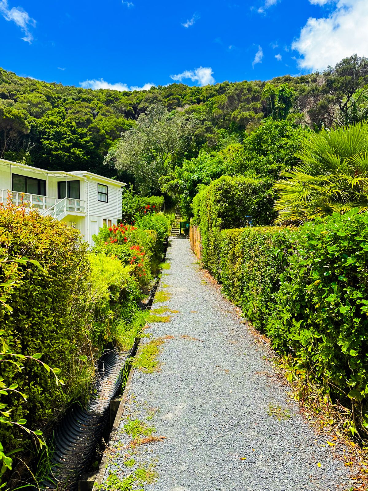 Lizard Bay - New Zealand Trip Ideas