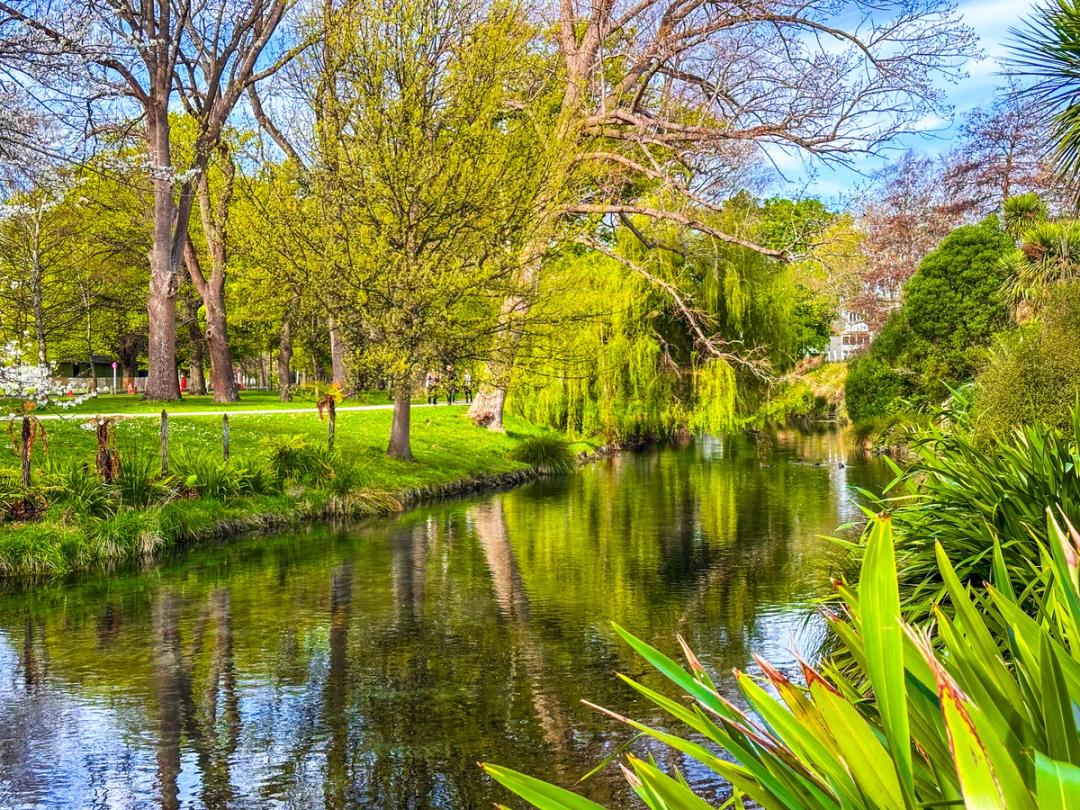 Hagley Park | Christchurch - New Zealand Trip Ideas