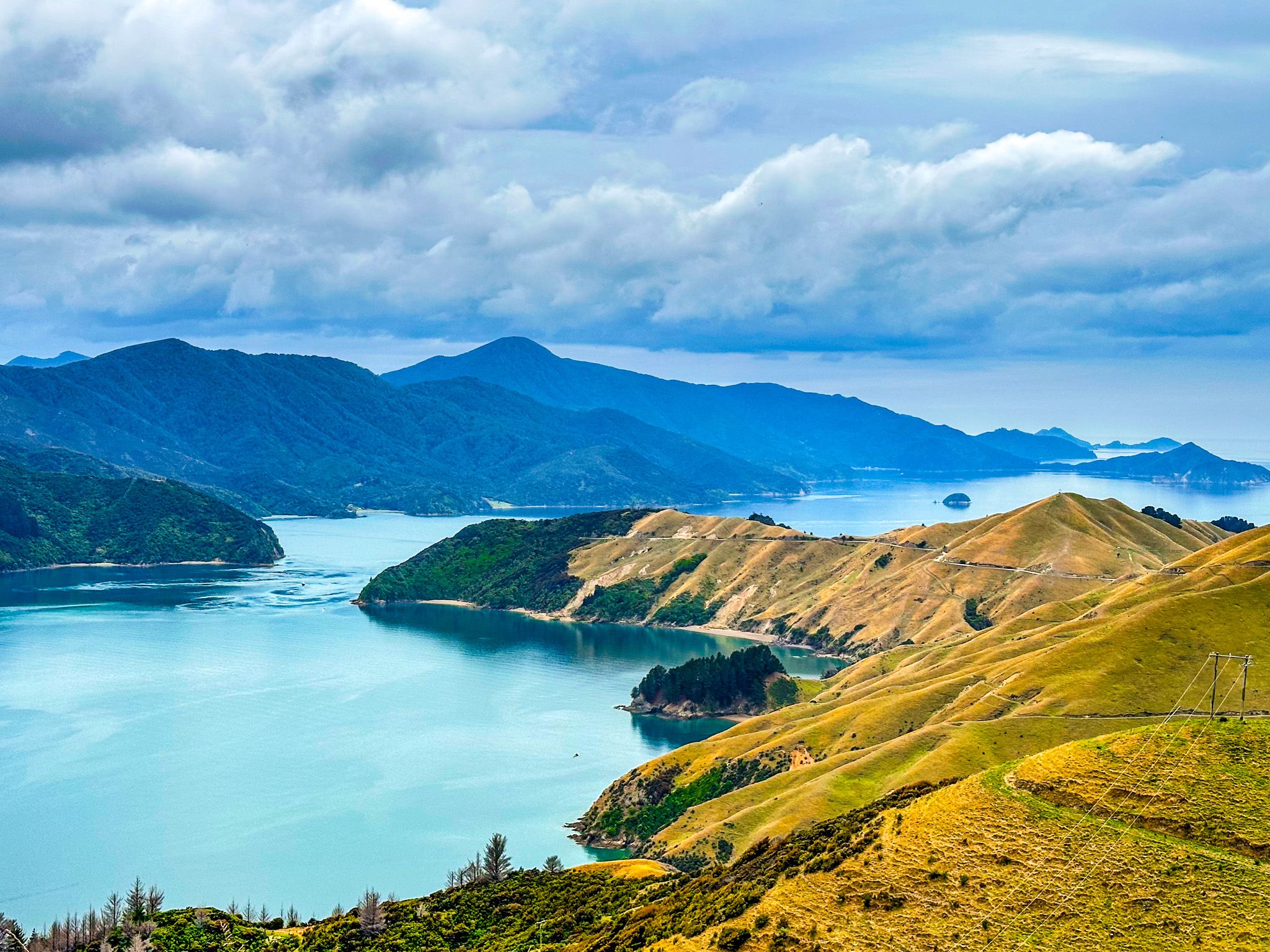 Outstanding Road Trip to French Pass