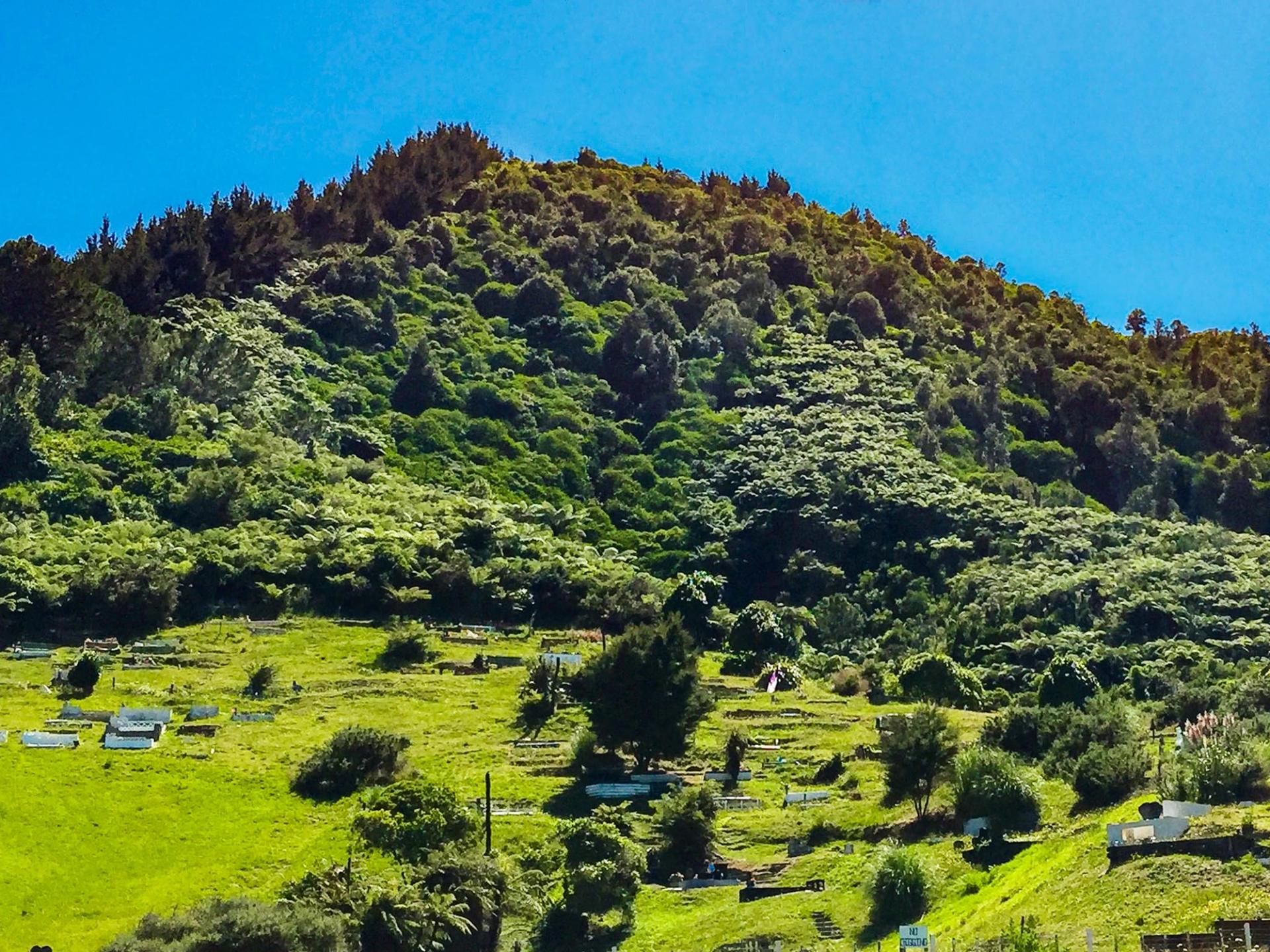 Taupiri | North Waikato - New Zealand Trip Ideas