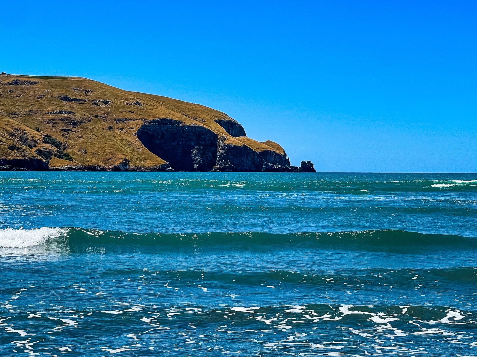 Le Bons Bay | Banks Peninsula - New Zealand Trip Ideas