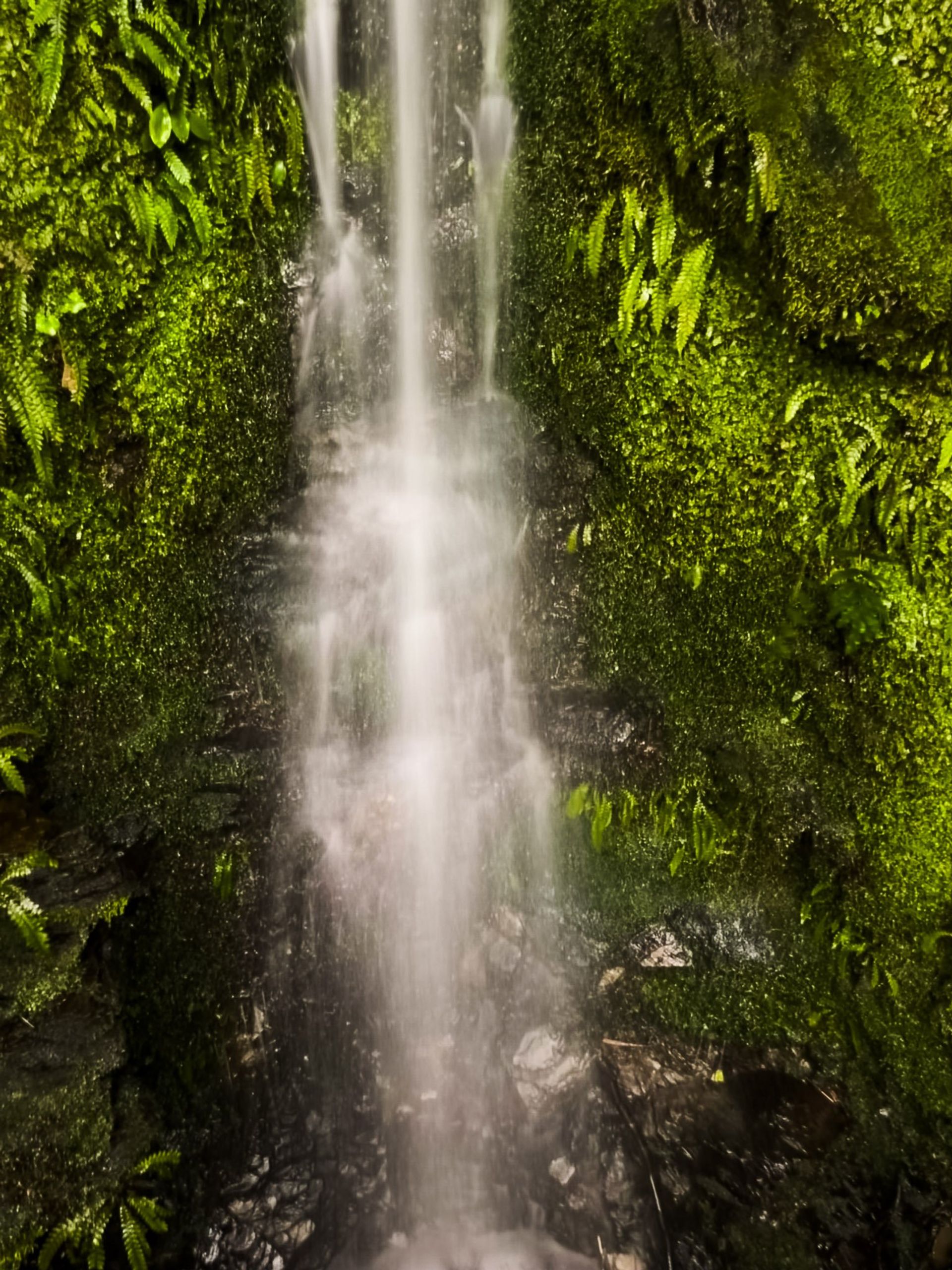 The Best of Beautiful Haast Pass - Trip Ideas