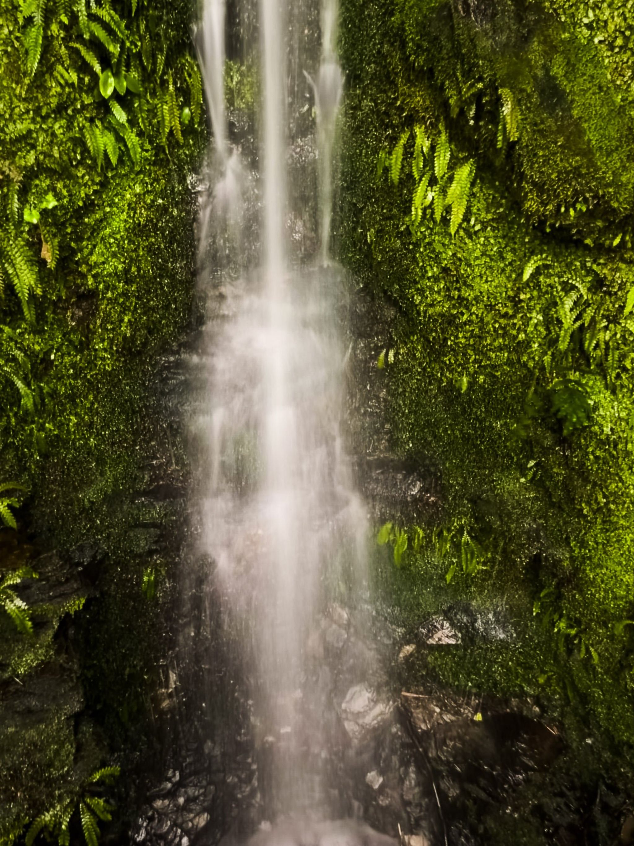 The Best of Beautiful Haast Pass - Trip Ideas