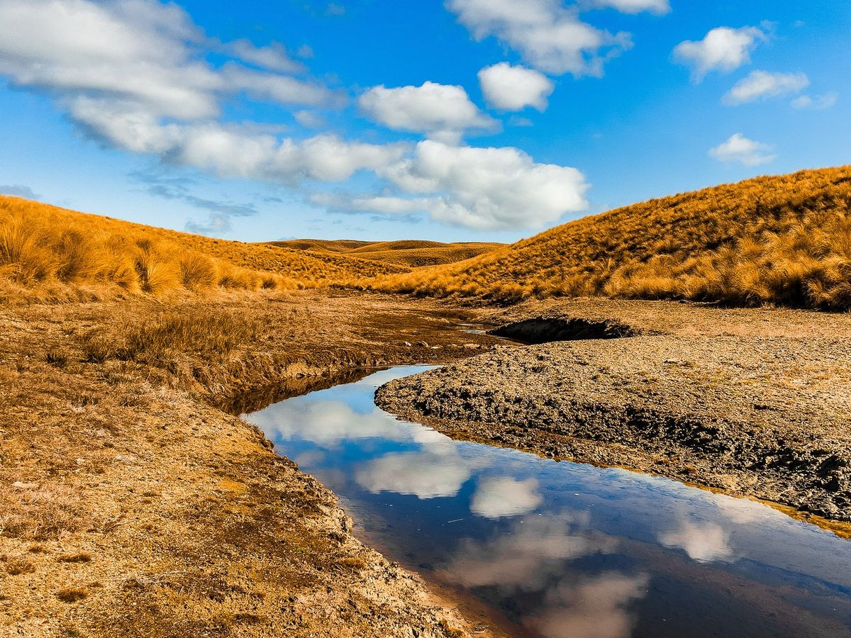 Lake Onslow: Remote Drives in Beautiful Central Otago | Blog - New ...