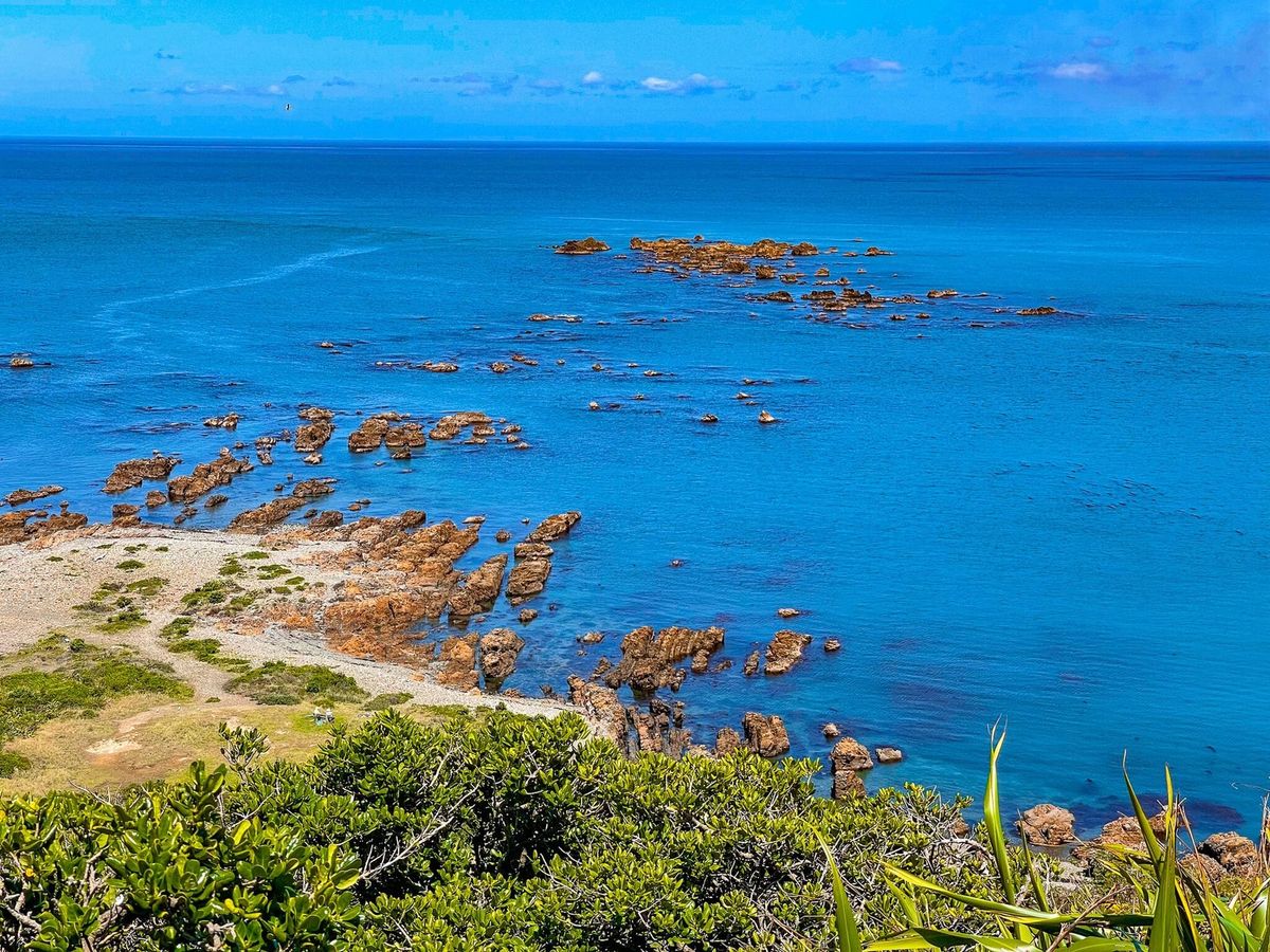 Touring Miramar Peninsula on a Beautiful Day - Trip Ideas
